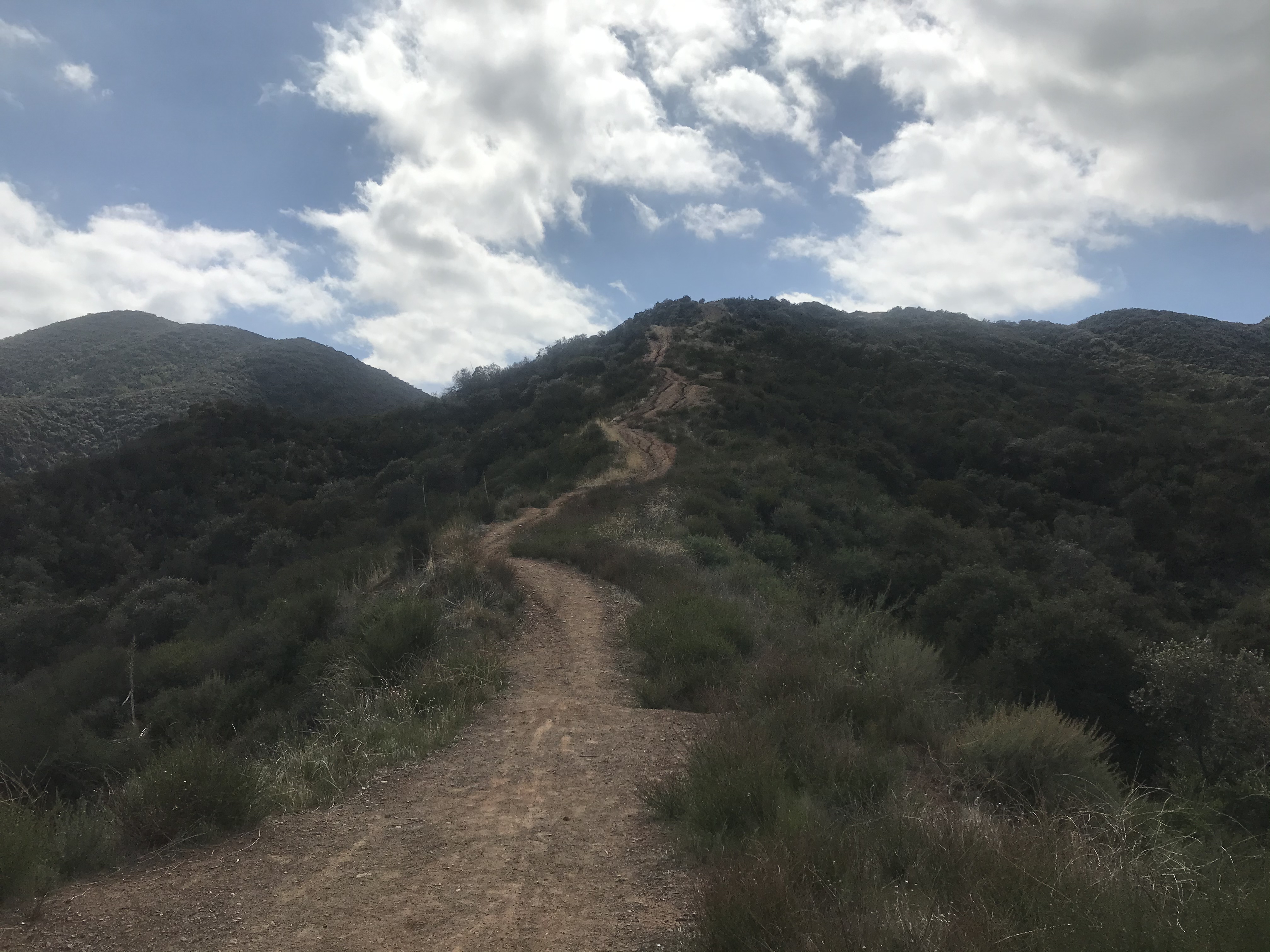 Photo of Skyline Drive Trail