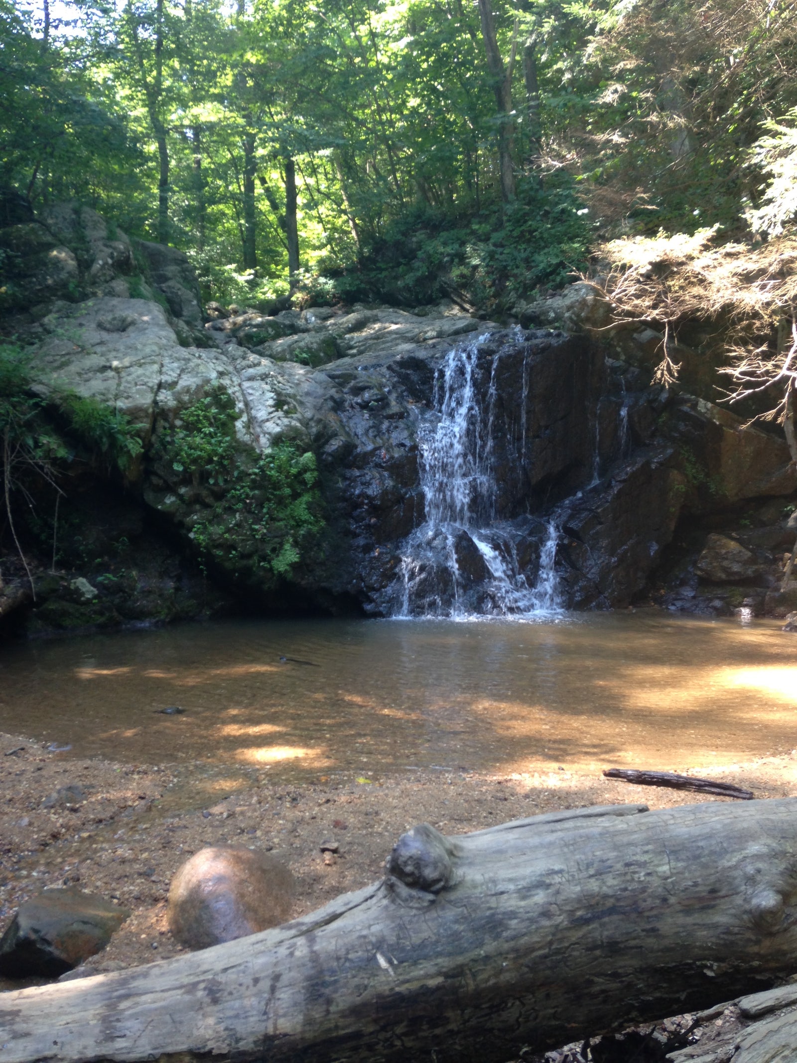 Photos: Cascade Falls Loop, Elkridge, Maryland