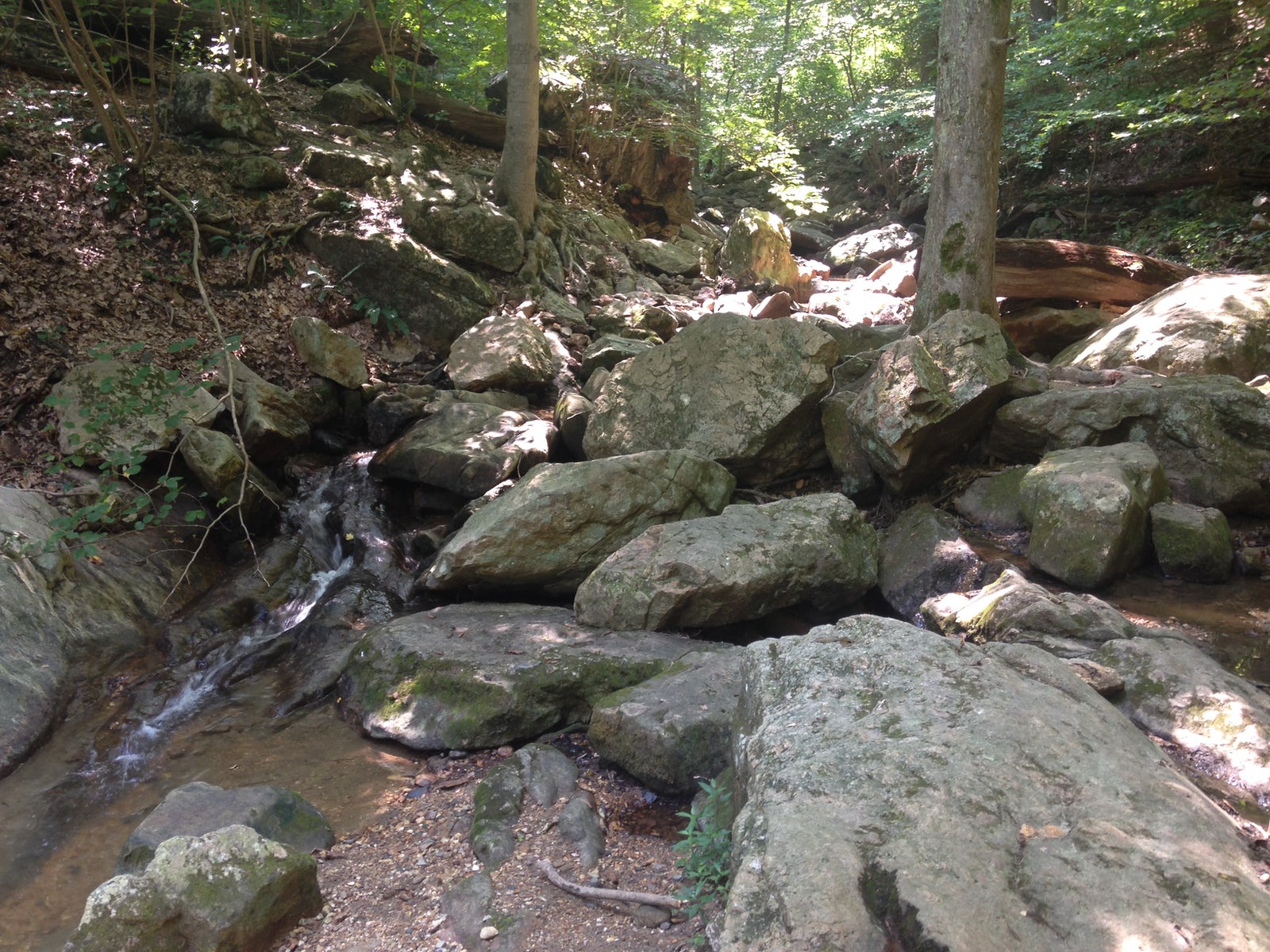 Photos: Cascade Falls Loop, Elkridge, Maryland