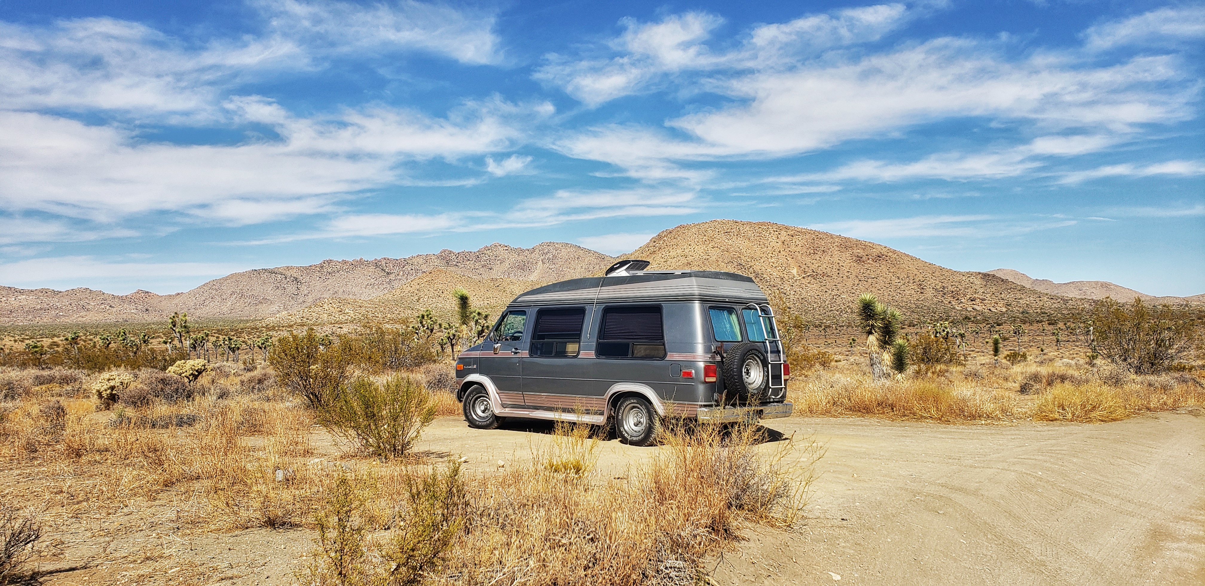 Safety Tips for the Solo Female Vanlifer