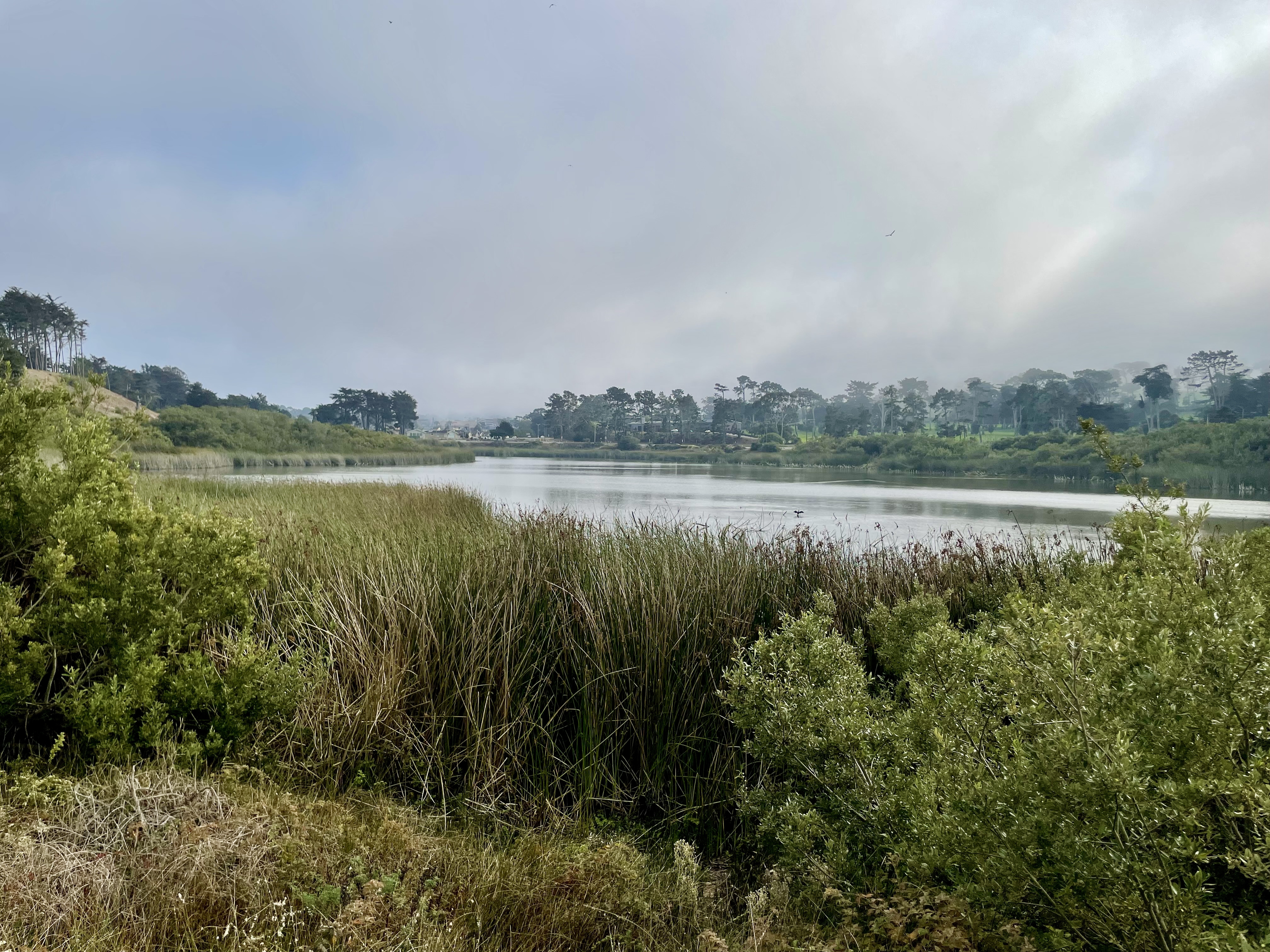 Lake Merced Loop, San Francisco, California