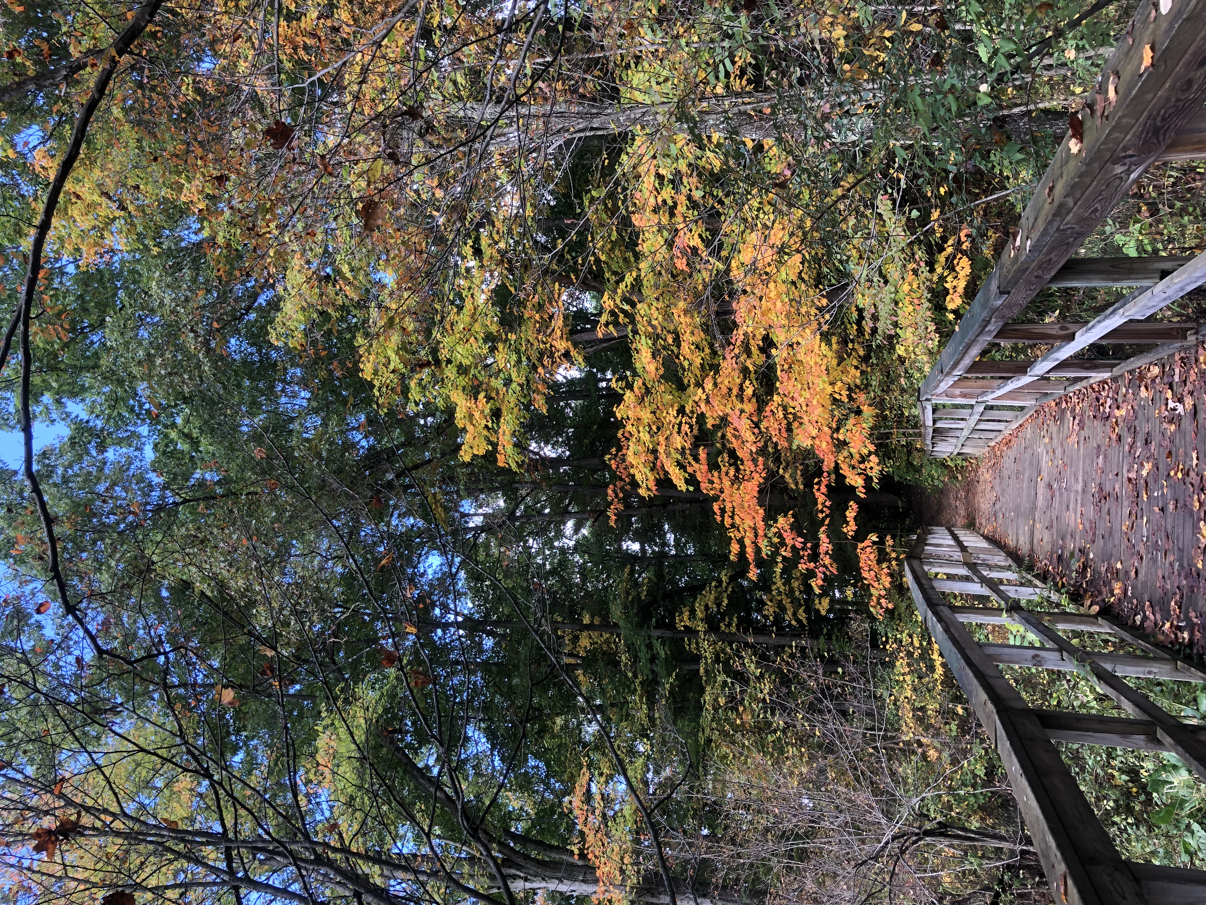 Lake Minnawanna Scenic Trail, Metamora, Michigan