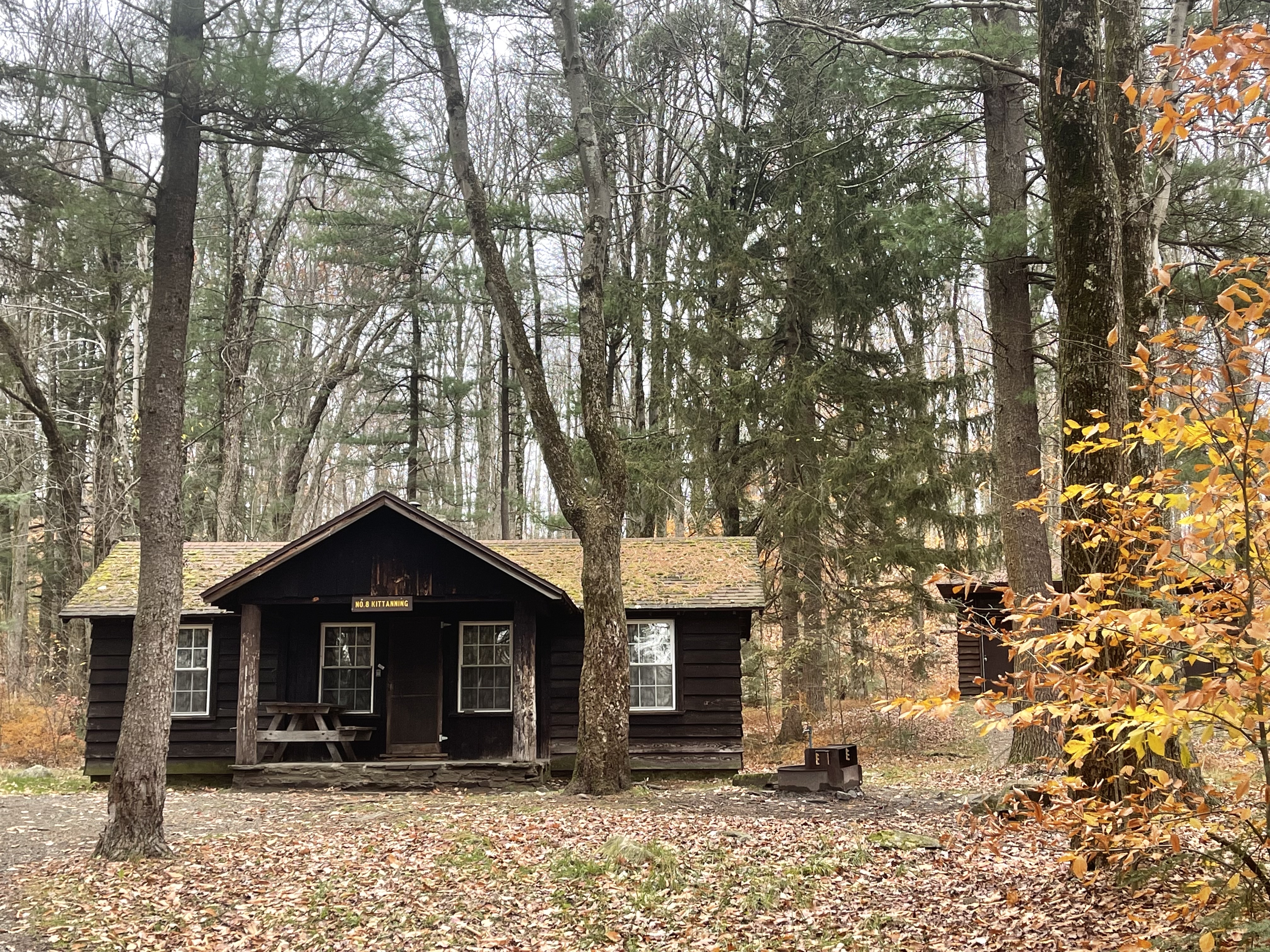 Camp at Rustic Bear Wallow Cabins, Greentown, Pennsylvania