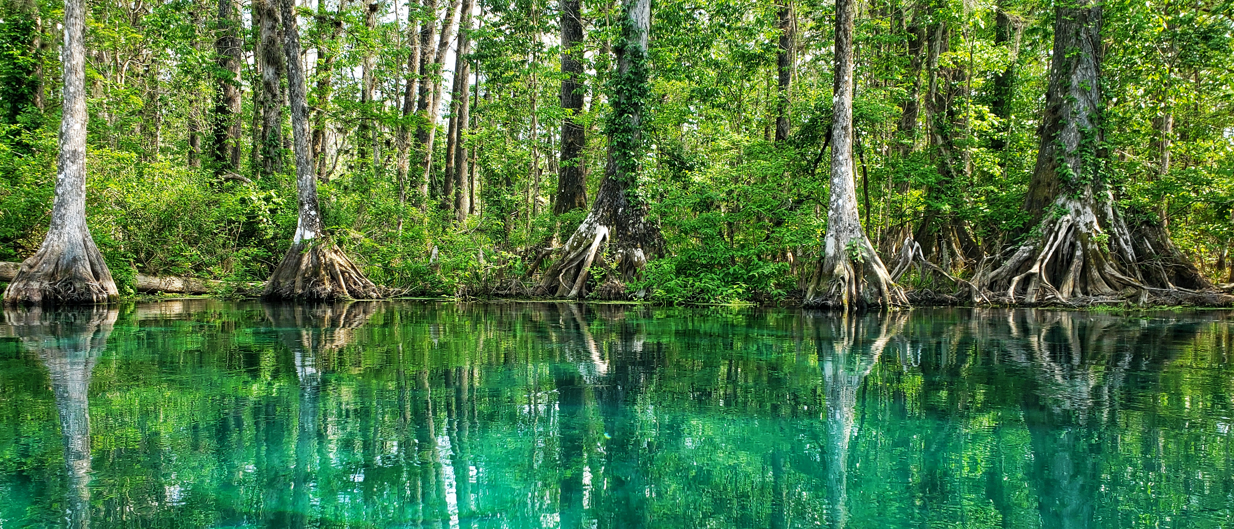 My Favorite Places To Explore In Florida