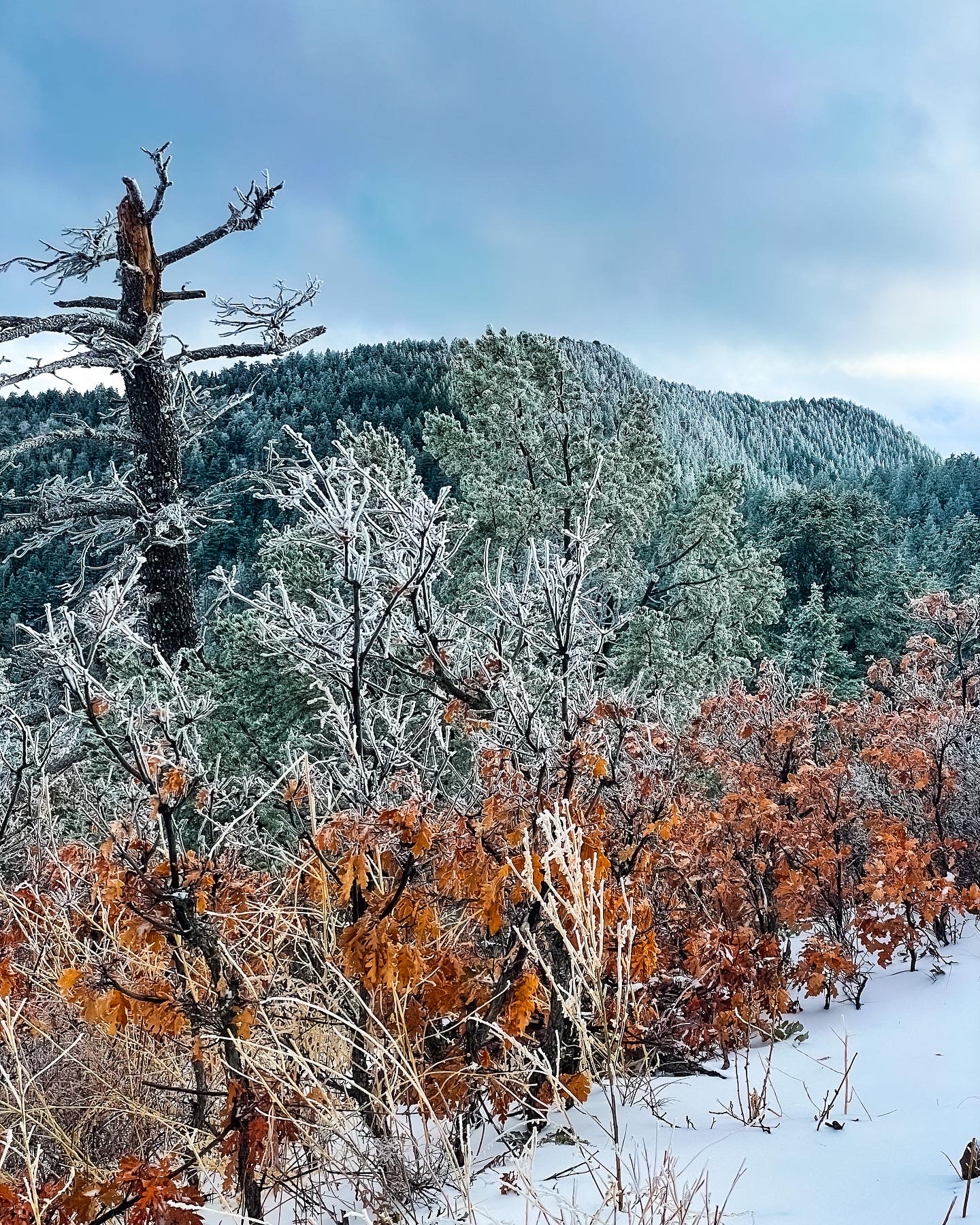 Tree Spring Trail, Cedar Crest, New Mexico
