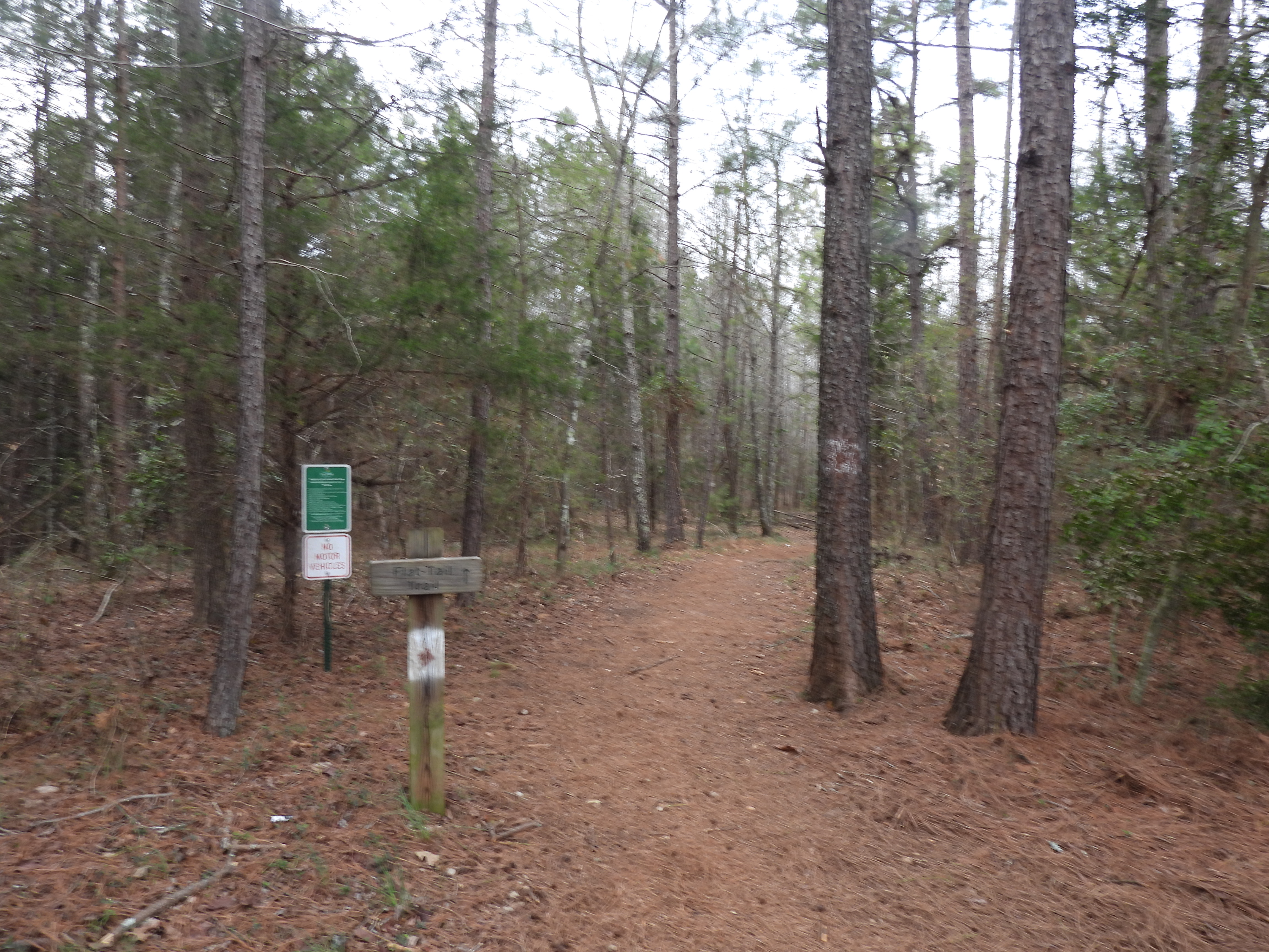 Lake Conestee Nature Park Loop, Greenville, South Carolina