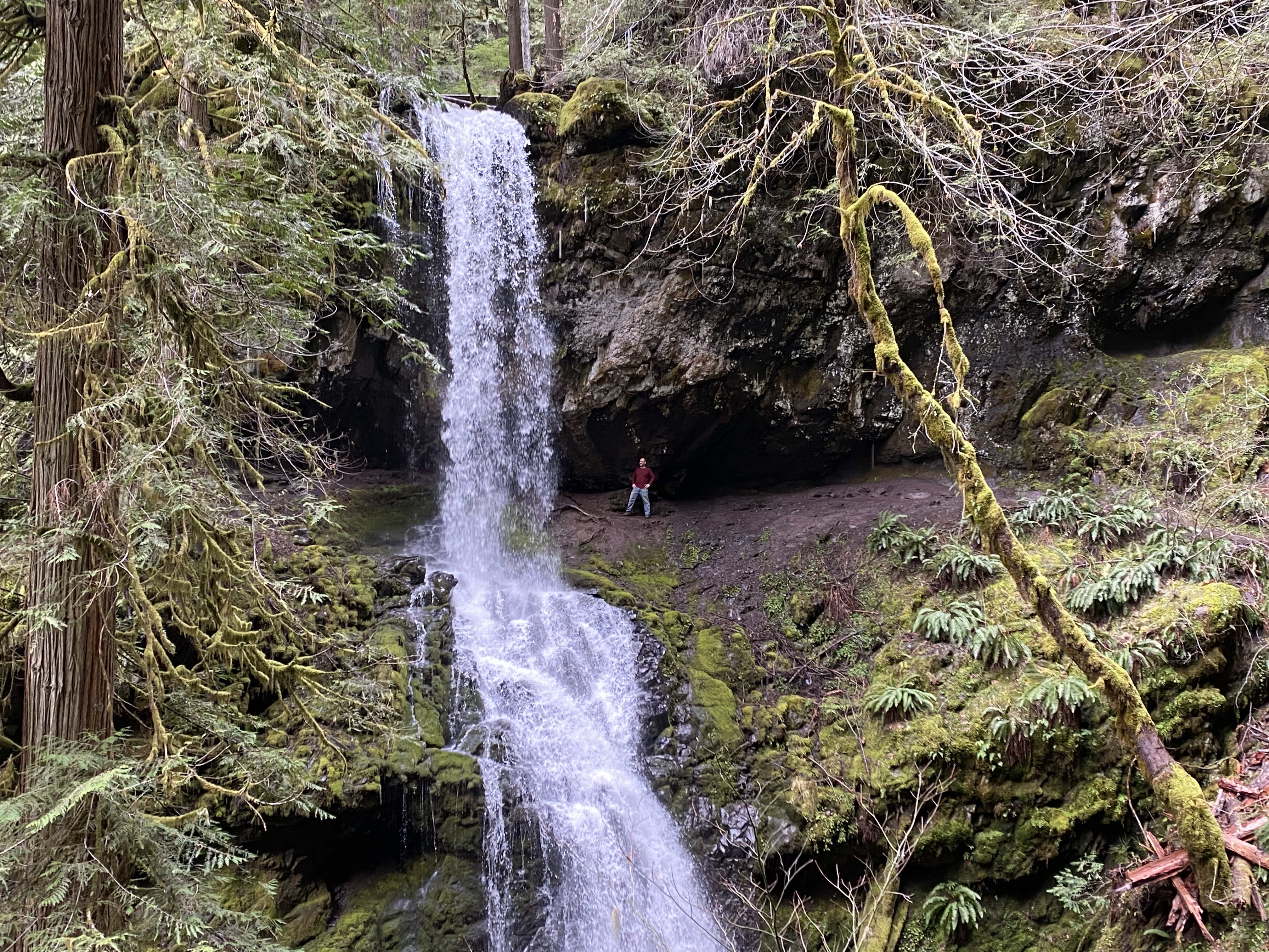 Trestle Creek Falls Loop, Dorena, Oregon