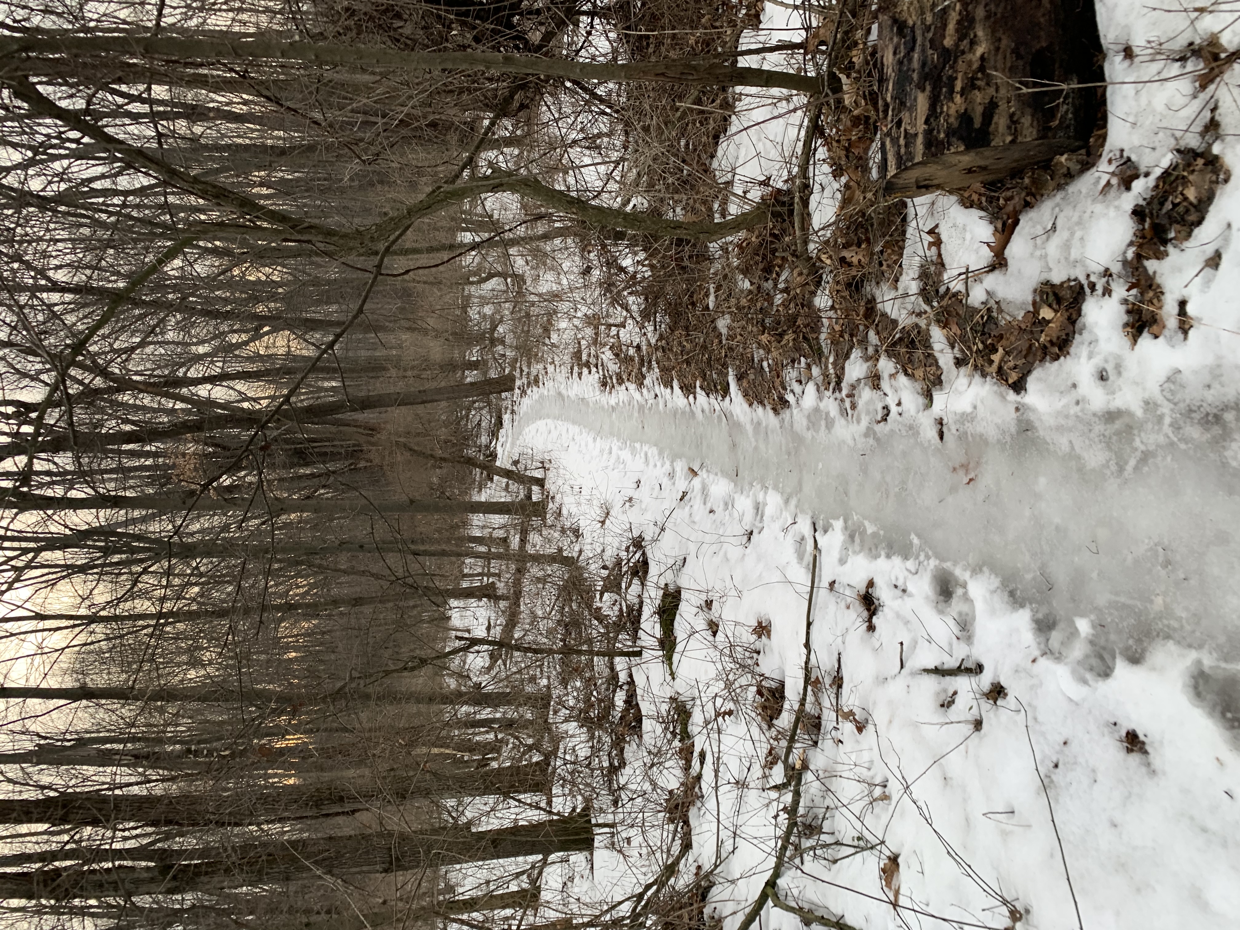 Rose Lake Area Loop, Laingsburg, Michigan