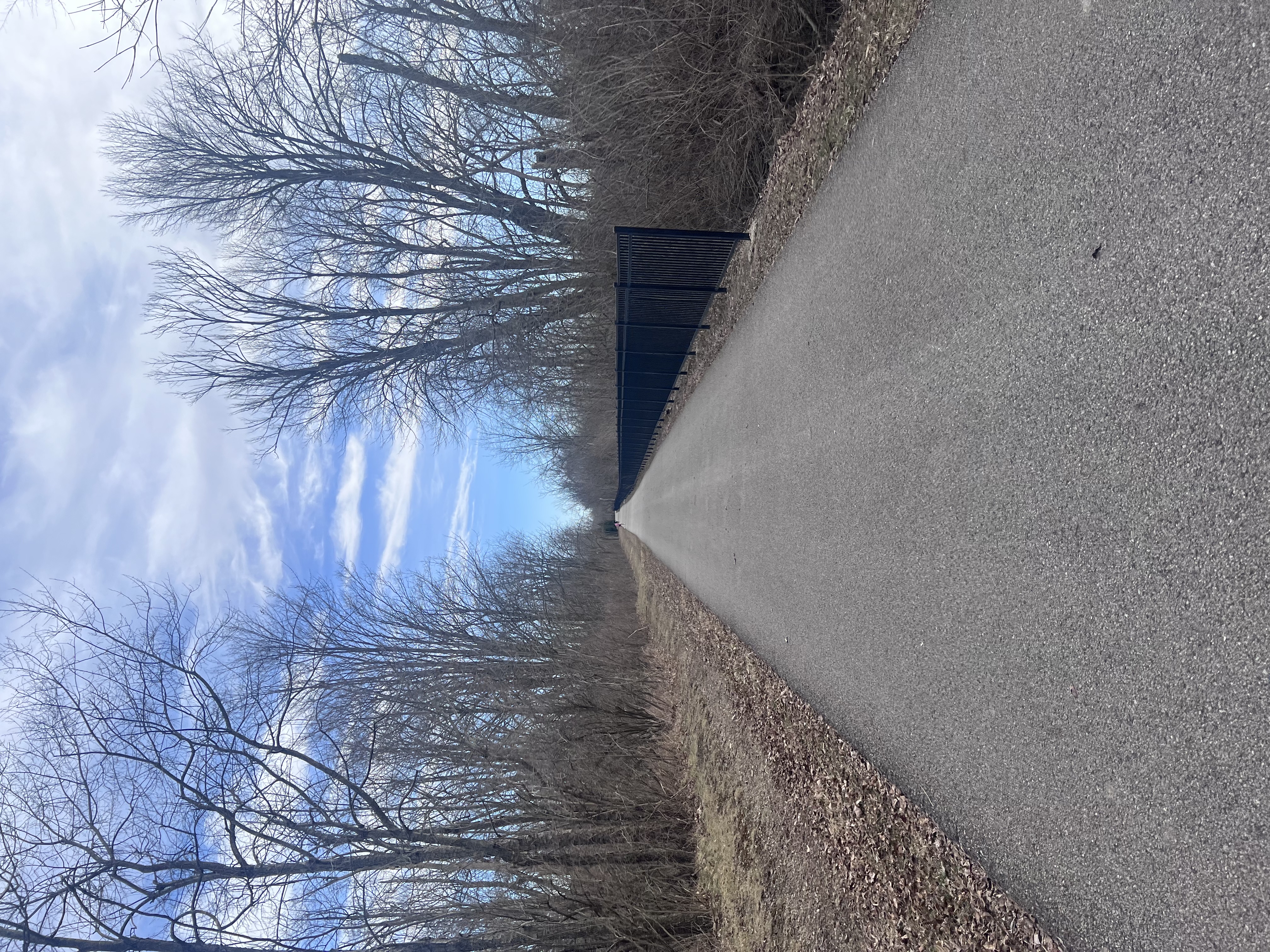 Explore Pufferbelly Trail: Premier Hiking in Fort Wayne, Indiana