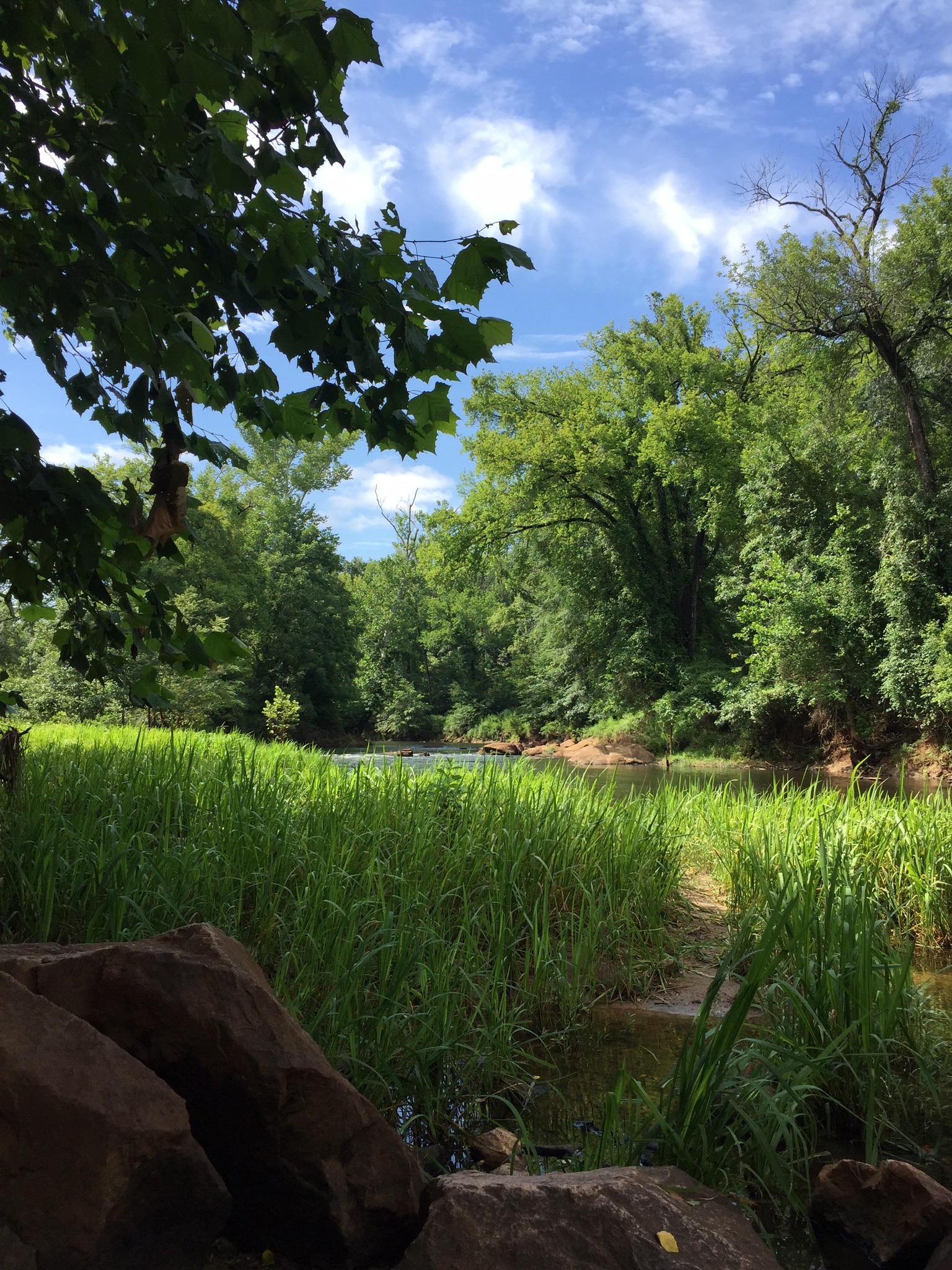 Neuse River Trail, Wake Forest, North Carolina