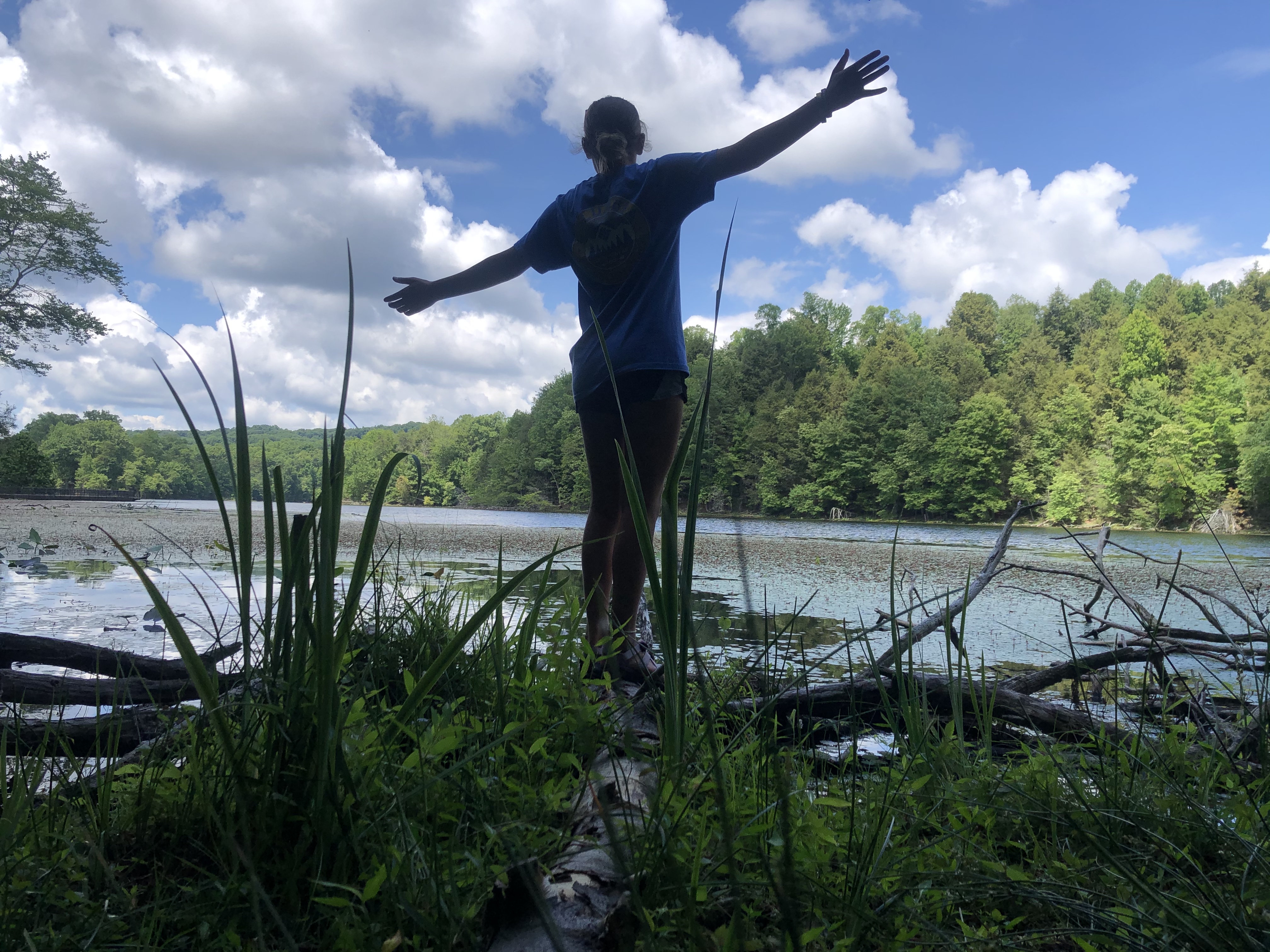 Bays Mountain Reservoir Trail, Kingsport, Tennessee