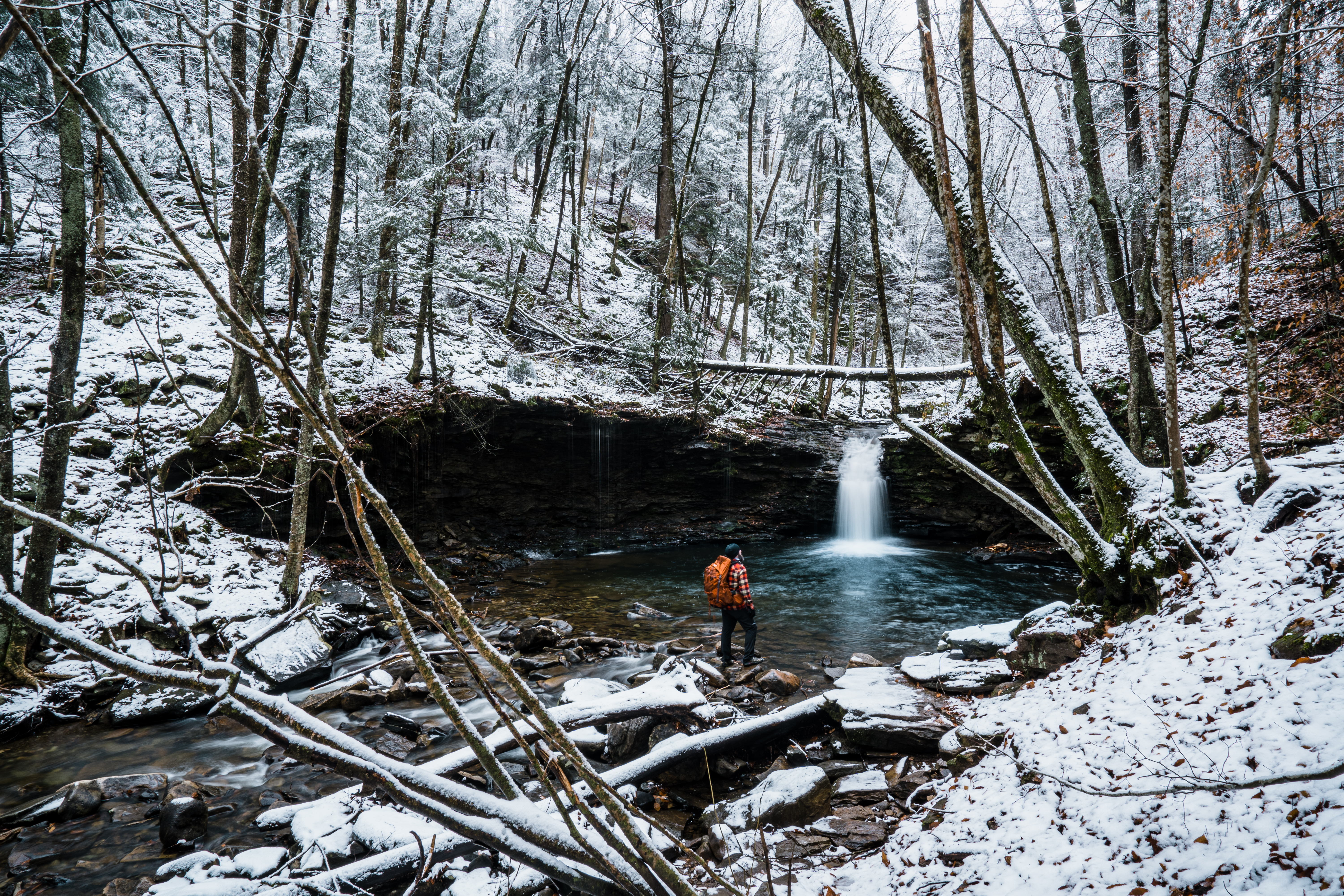 Double Run Nature Trail, Forksville, Pennsylvania