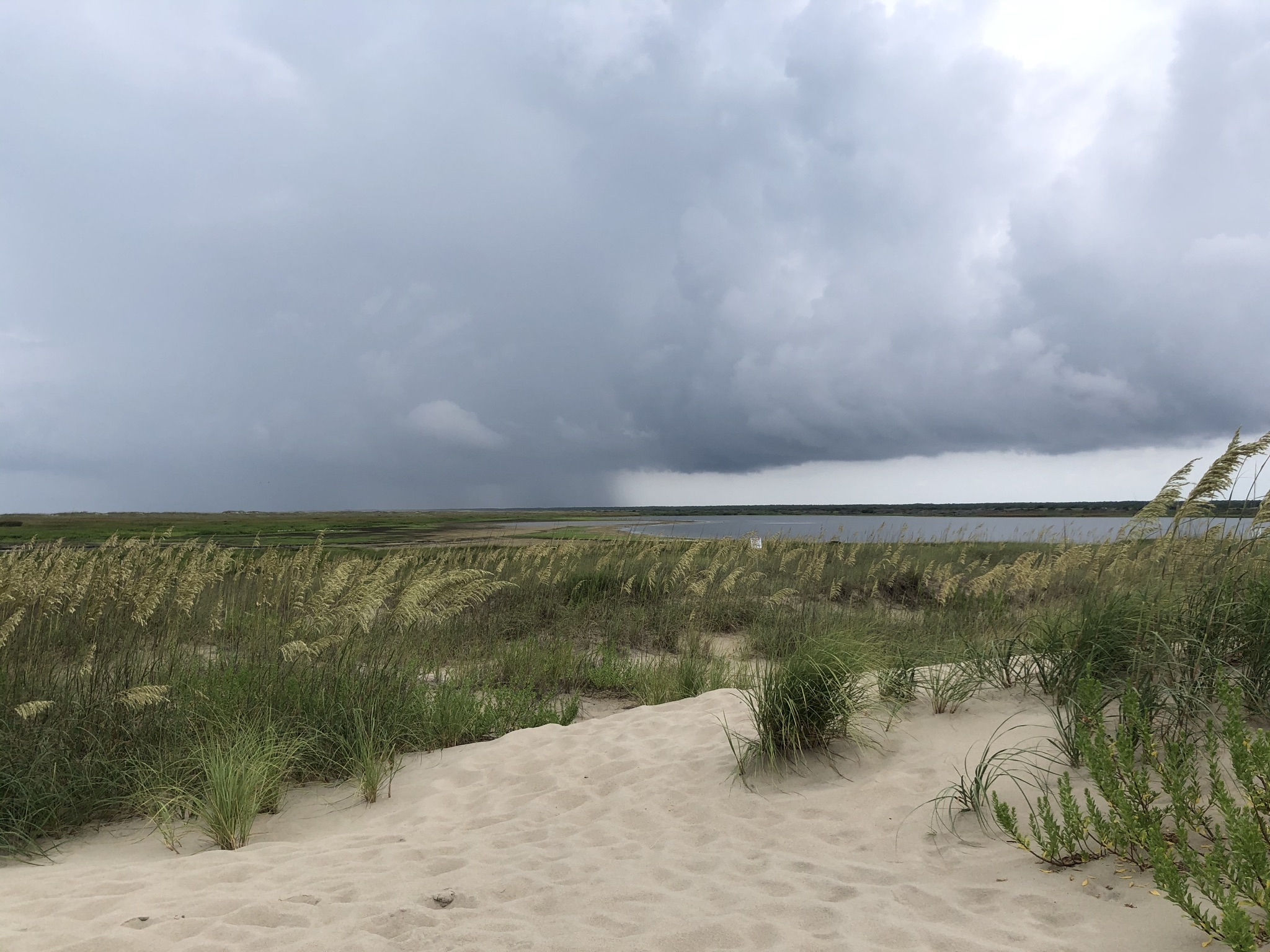 Open Ponds Trail, Buxton, North Carolina