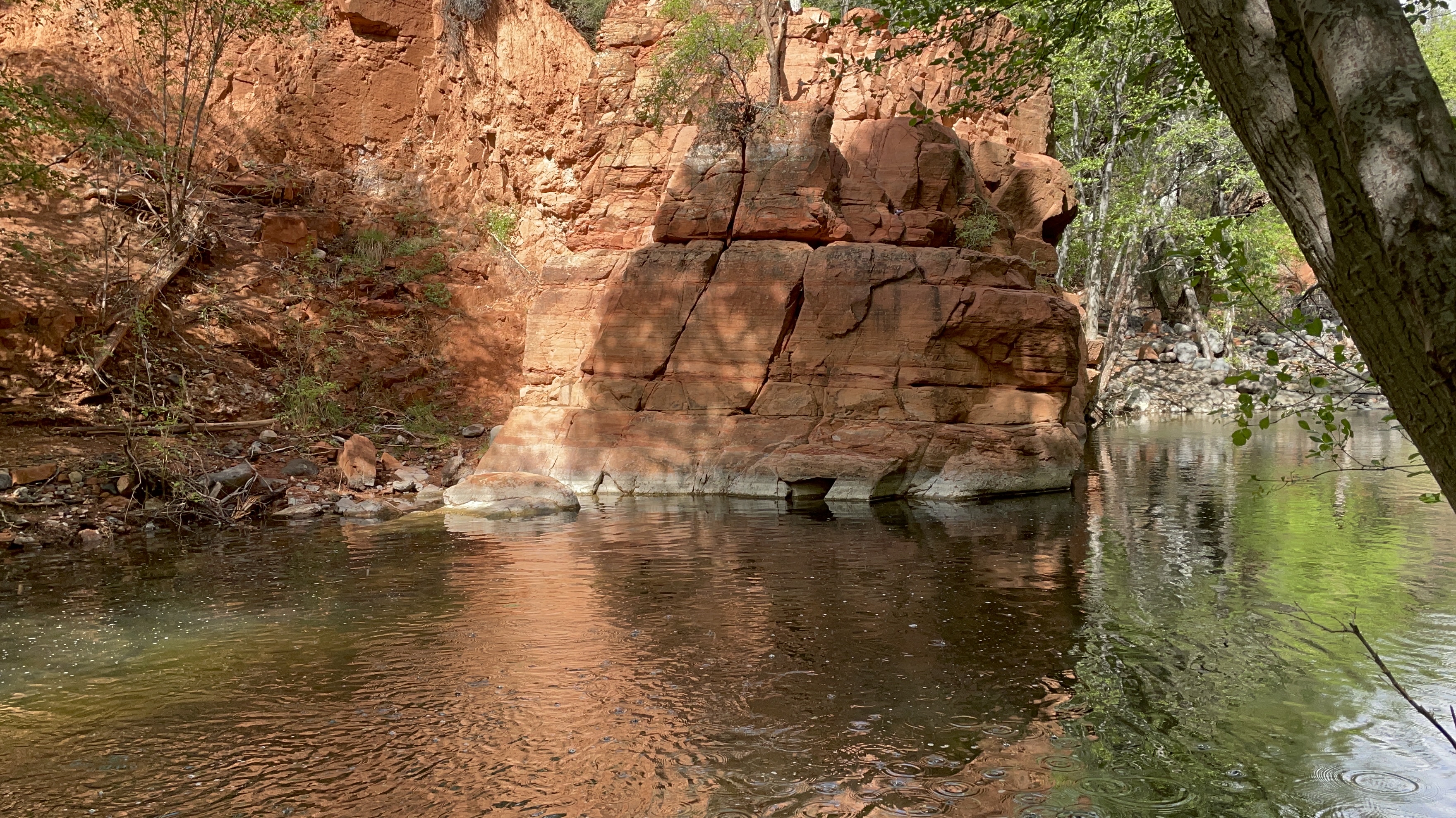 Photos: The Bull Pen, Camp Verde, Arizona