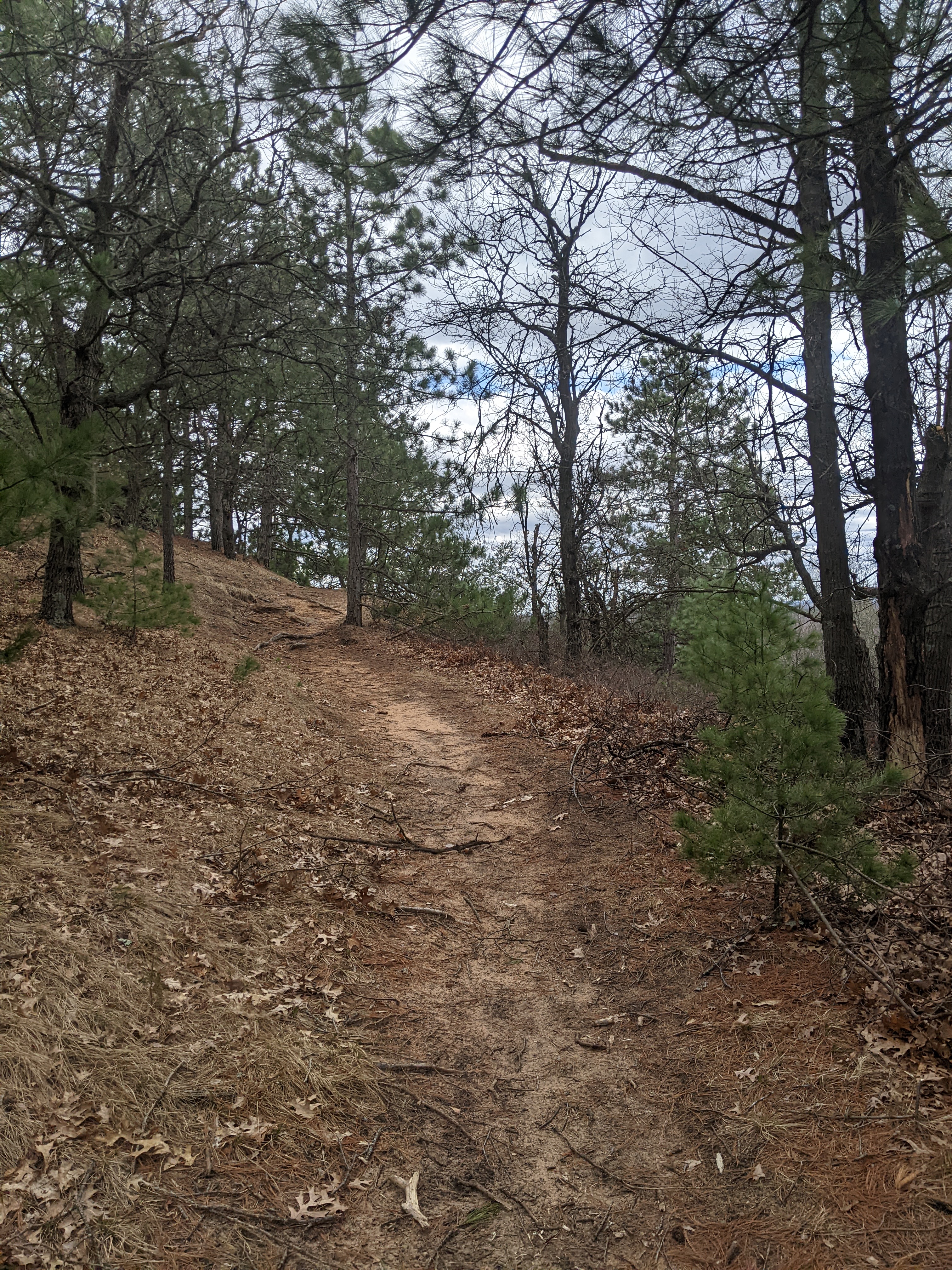 Levis/Trow Mounds Trail, Neillsville, Wisconsin