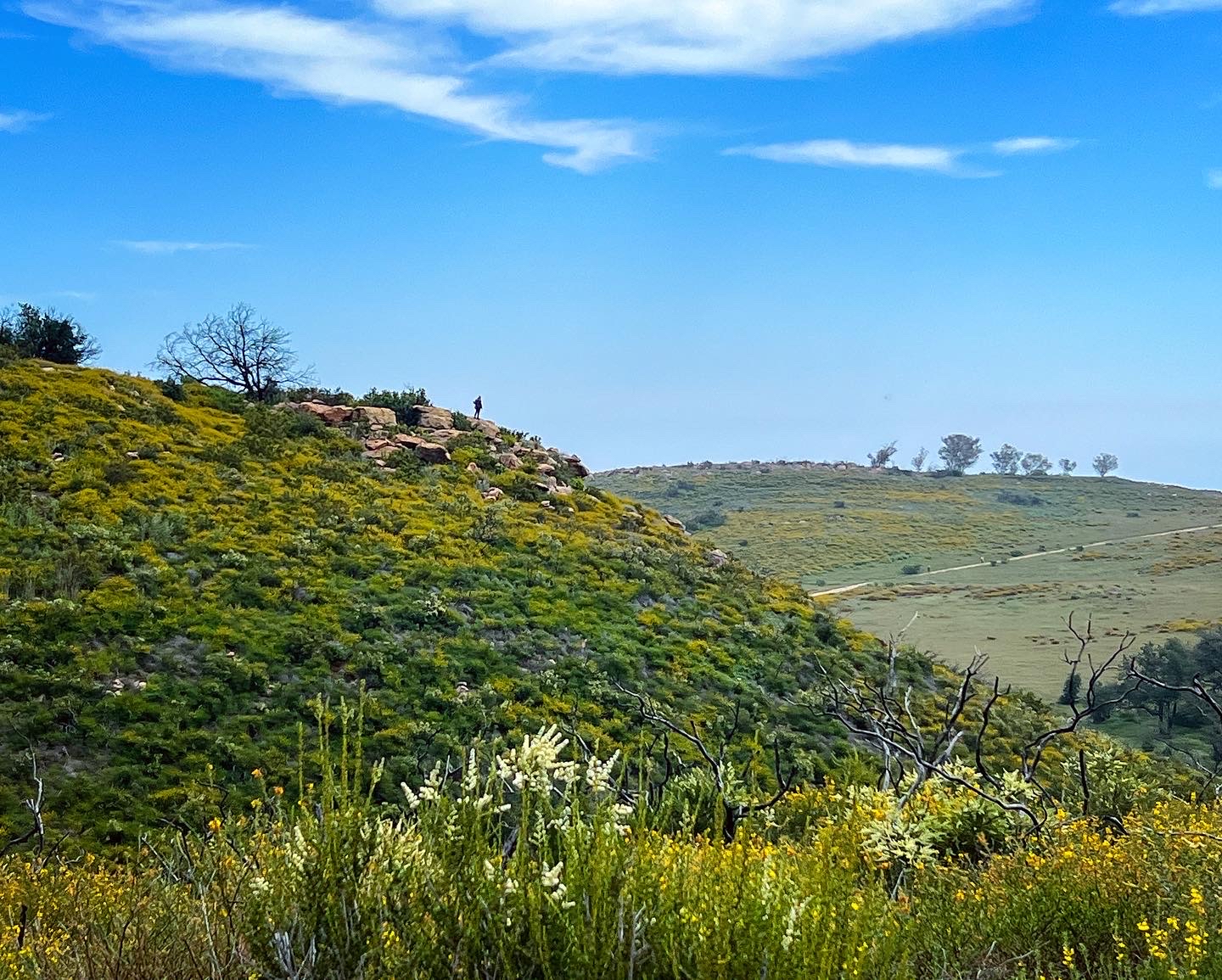 Ocean Overlook Loop Trail, Malibu, California