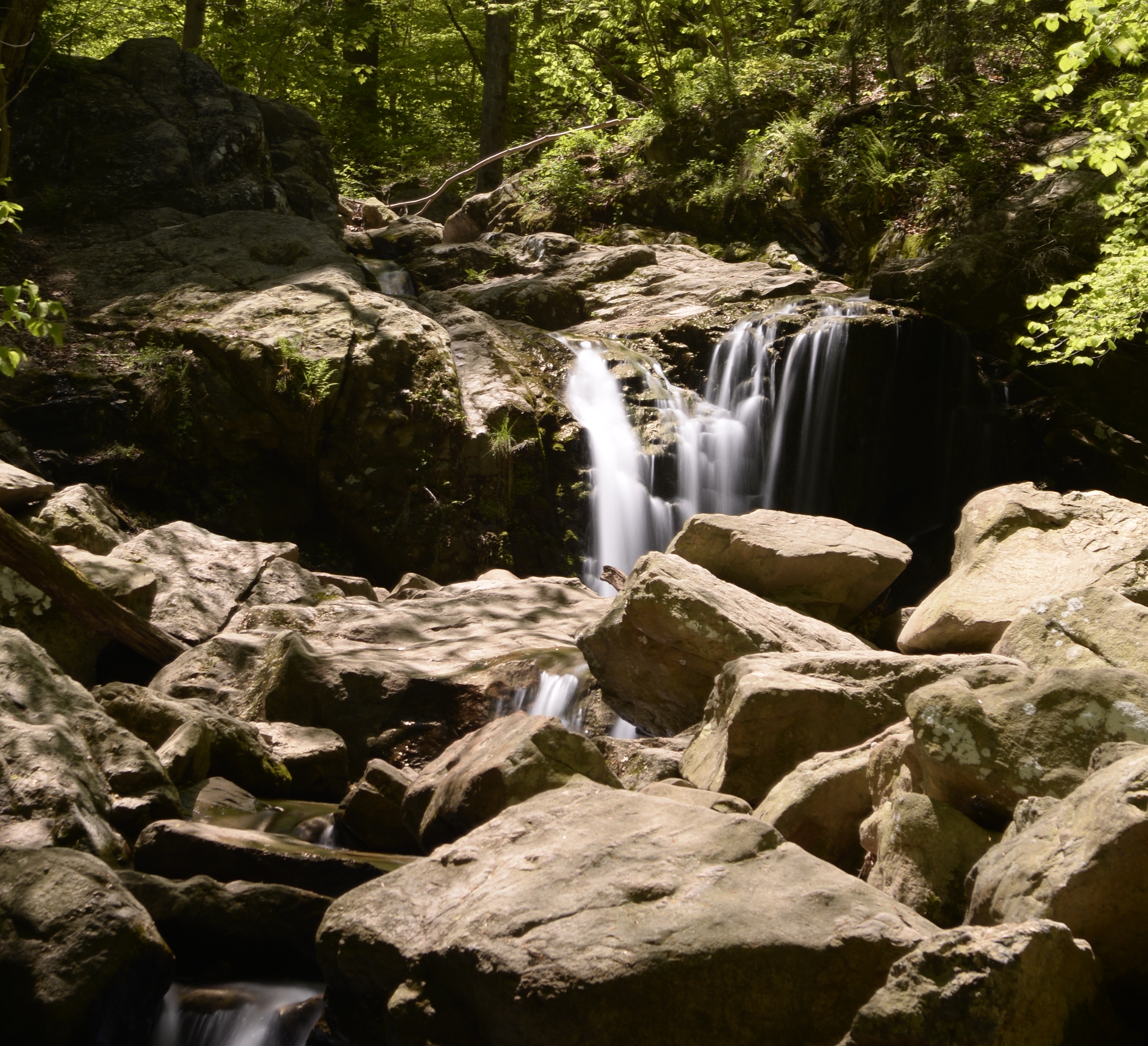 Photos: Cascade Falls Loop, Elkridge, Maryland