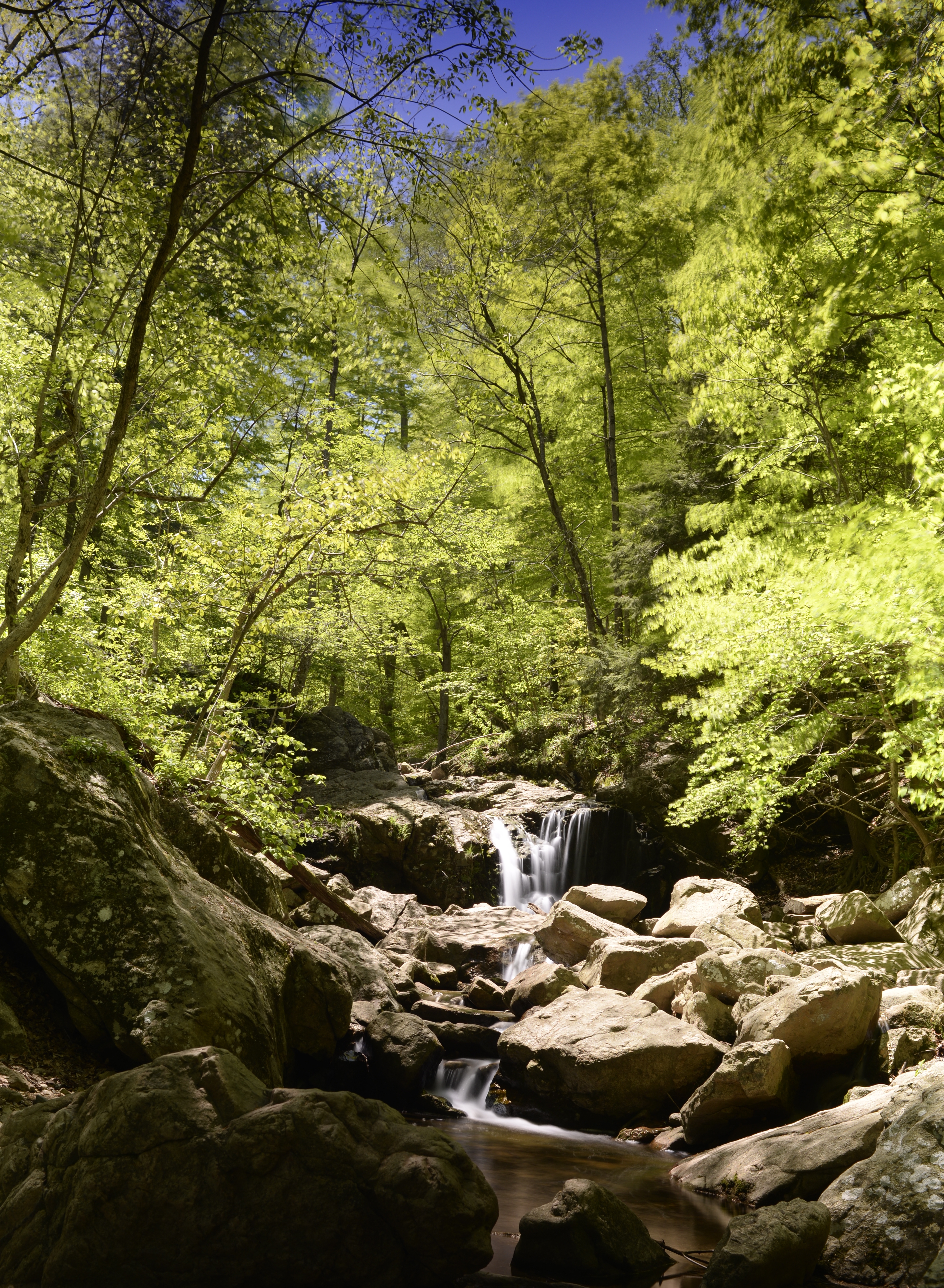 Photos: Cascade Falls Loop, Elkridge, Maryland