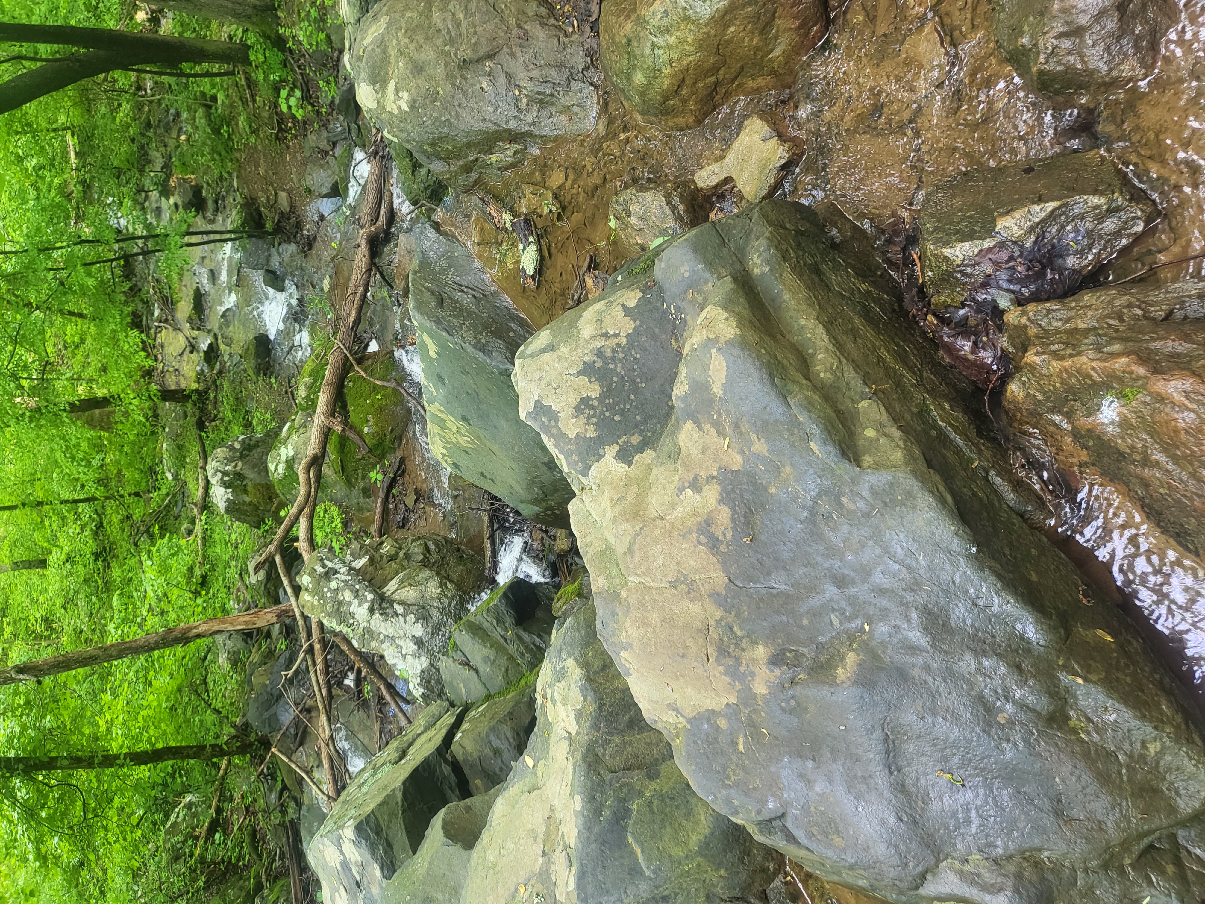 Photo of Hike to Hollow Brook Falls