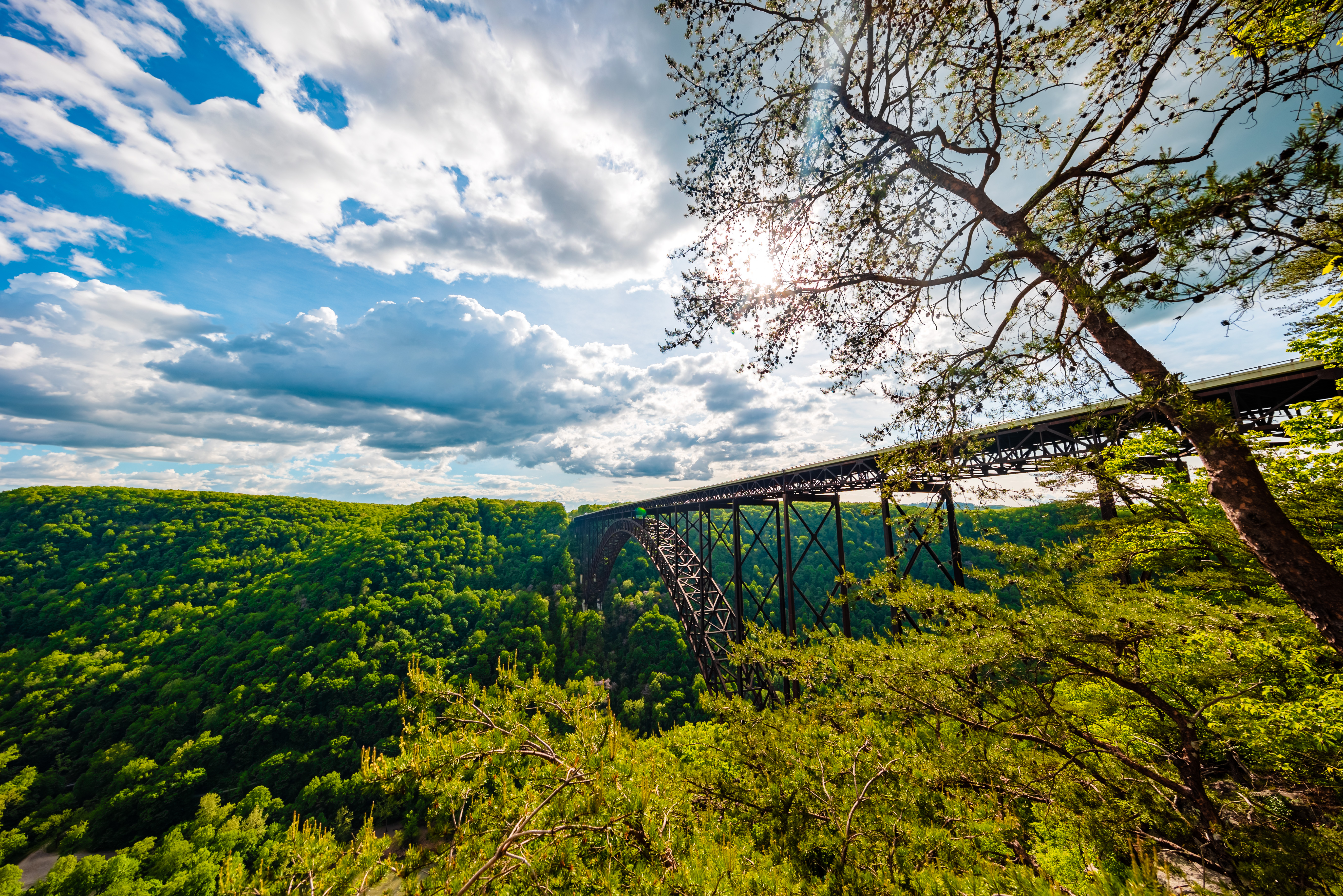 Canyon Rim Overlook Boardwalk, Lansing, West Virginia