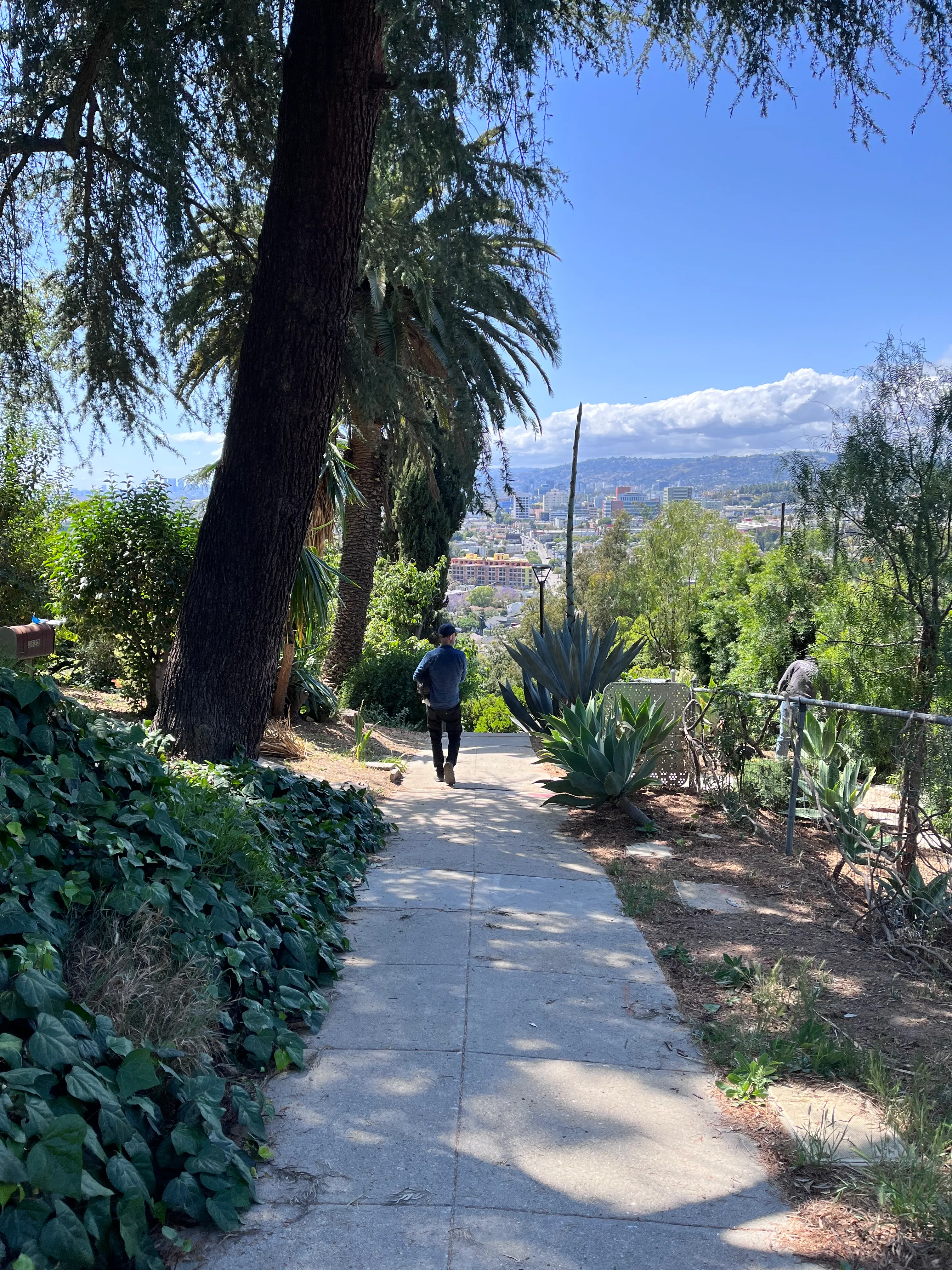 Landa St Stairs (Esther's Steps), Los Angeles, California