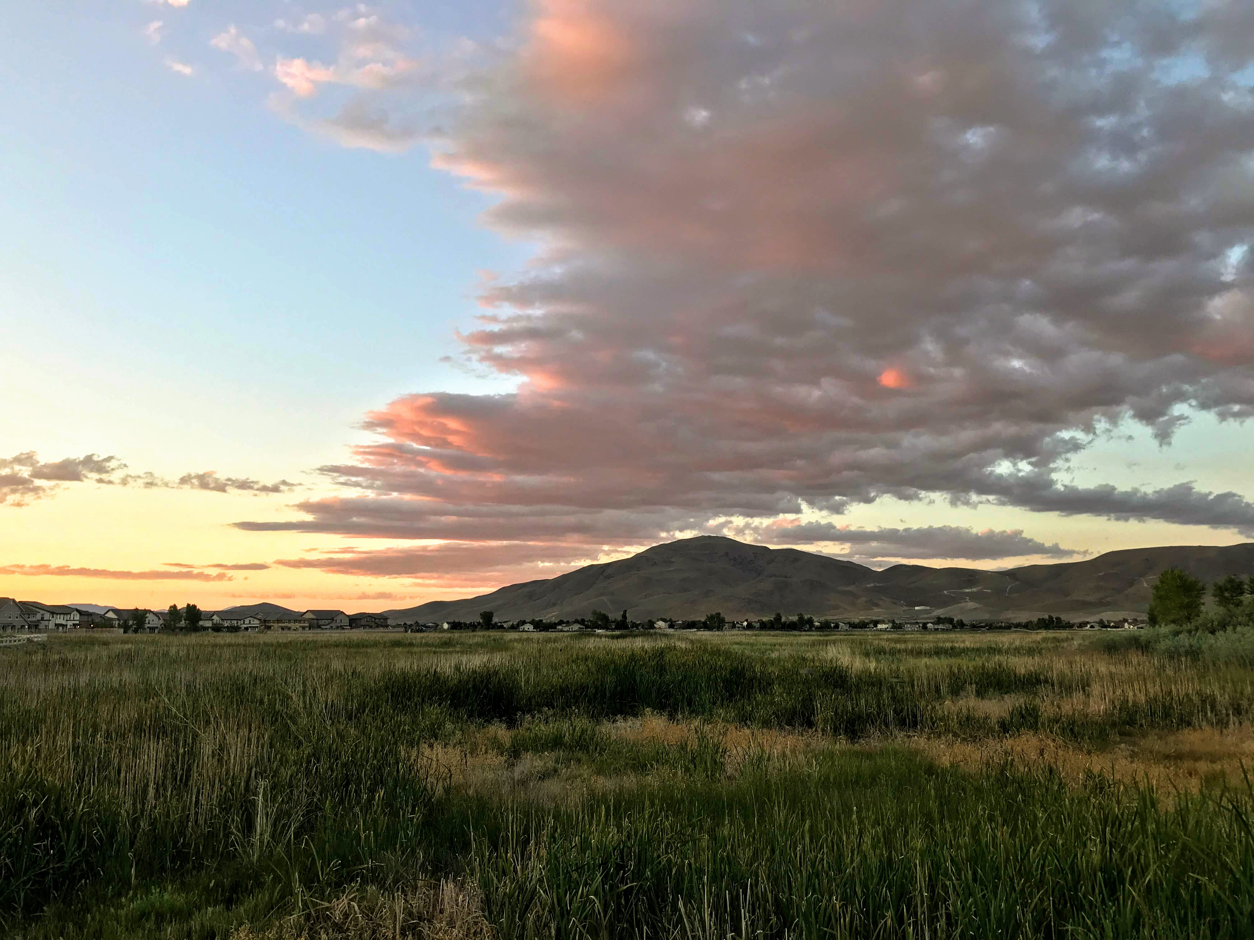 Damonte Ranch Park Wetlands Loop, Reno, Nevada