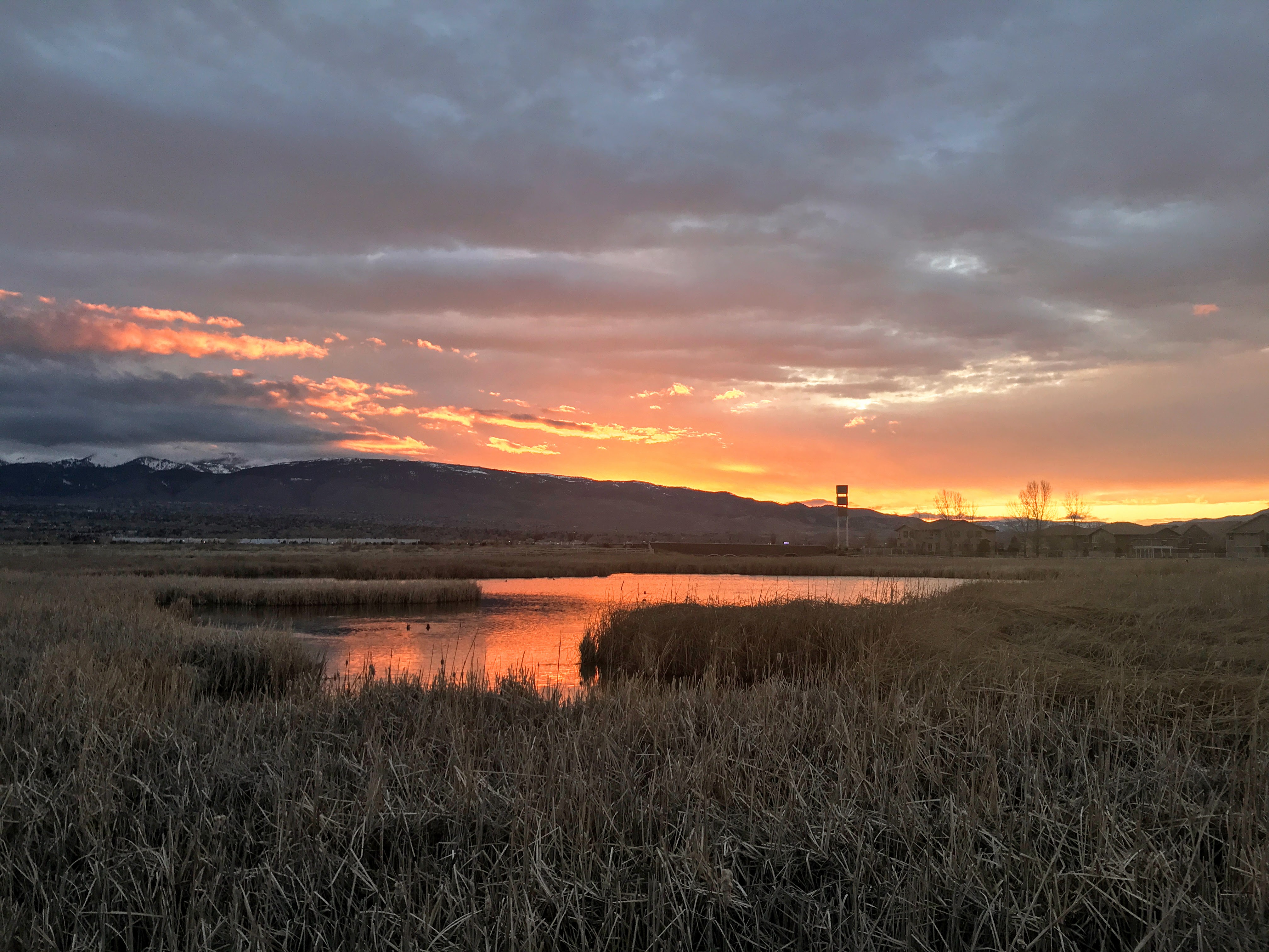 Damonte Ranch Wetland Loop, Reno, Nevada