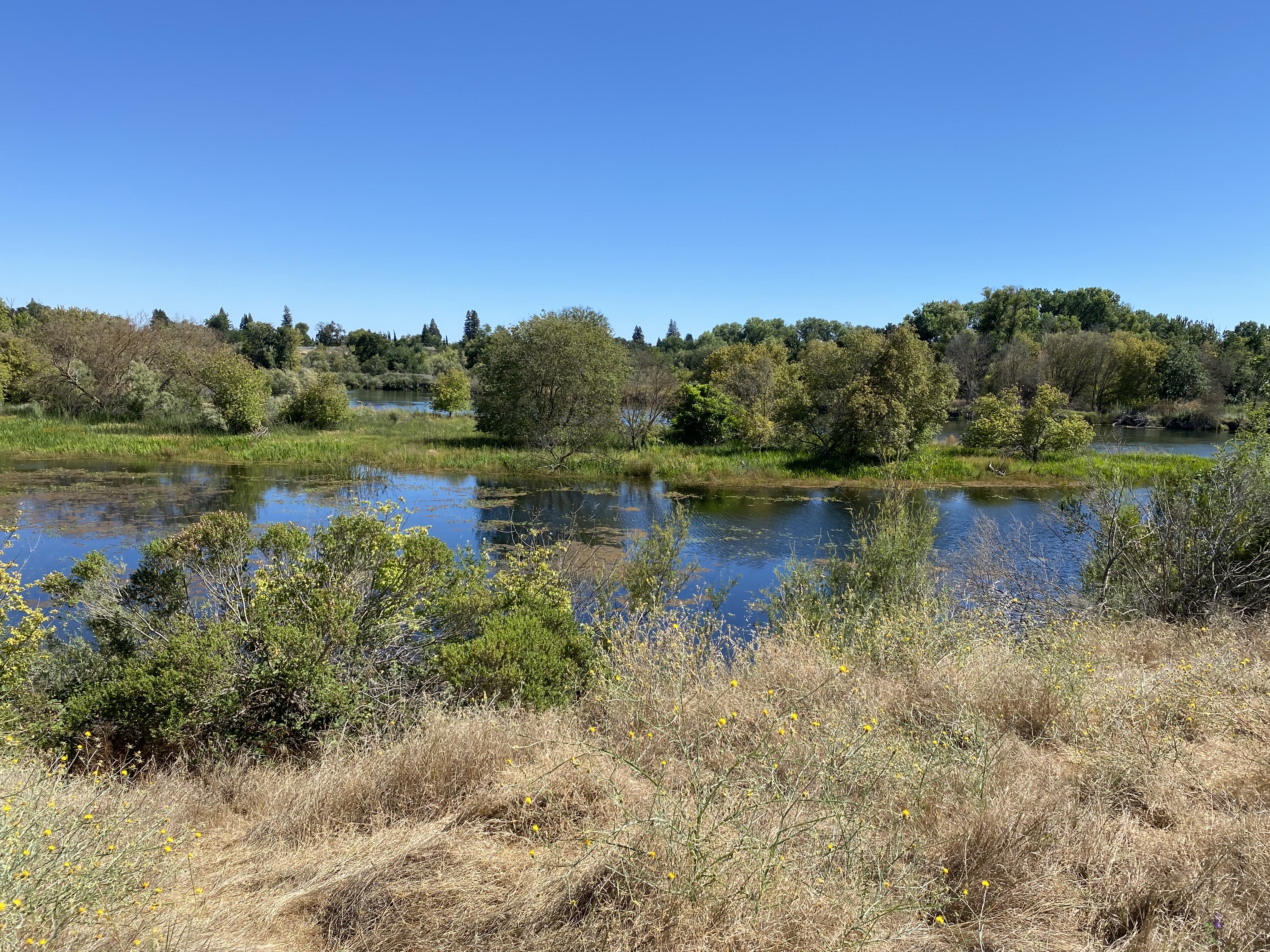 Levee Path/American River Bike Trail: Williams Pond Rec Area to Watt ...