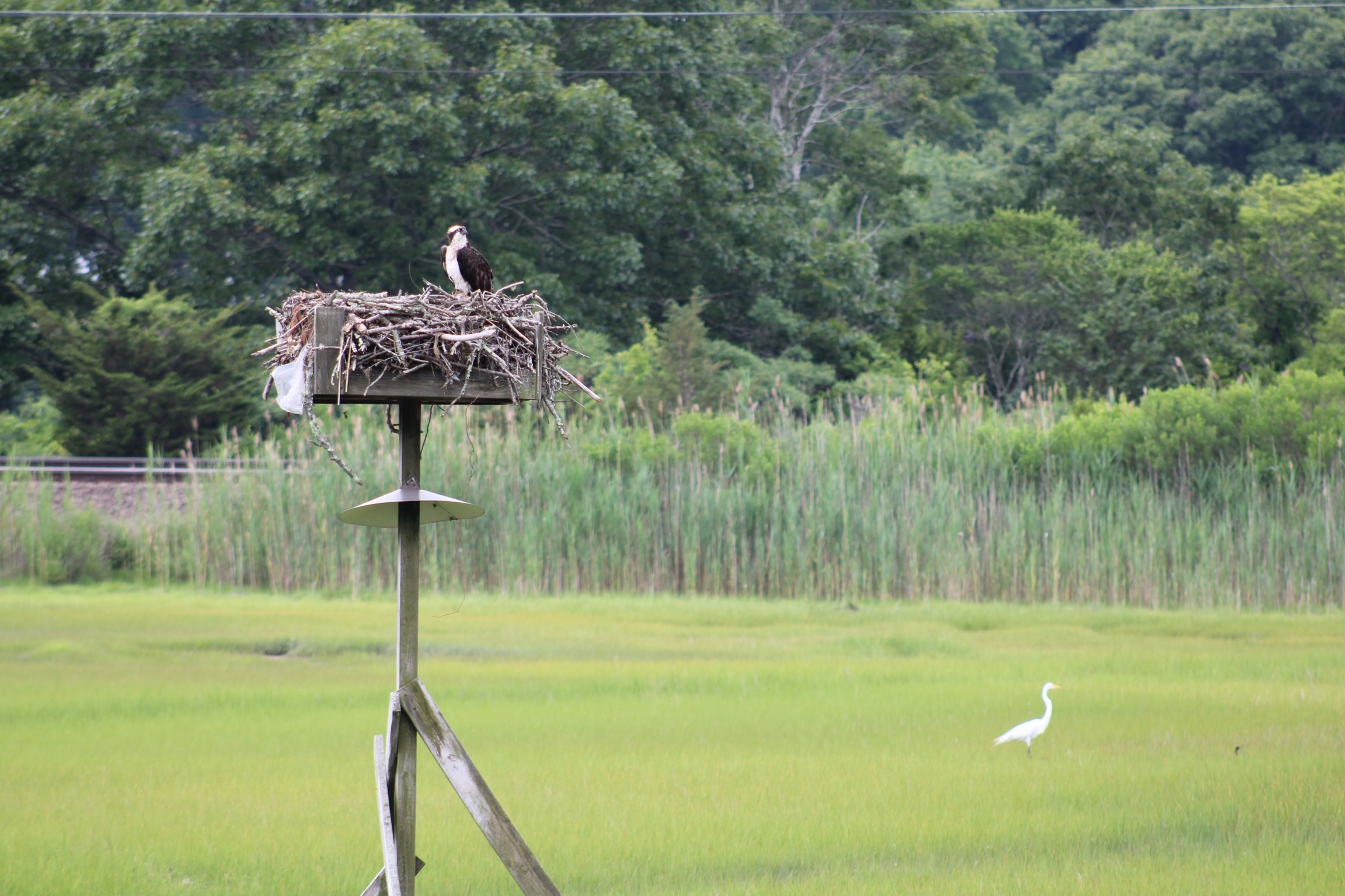 Hike Haley Farm Loop, Groton, Connecticut