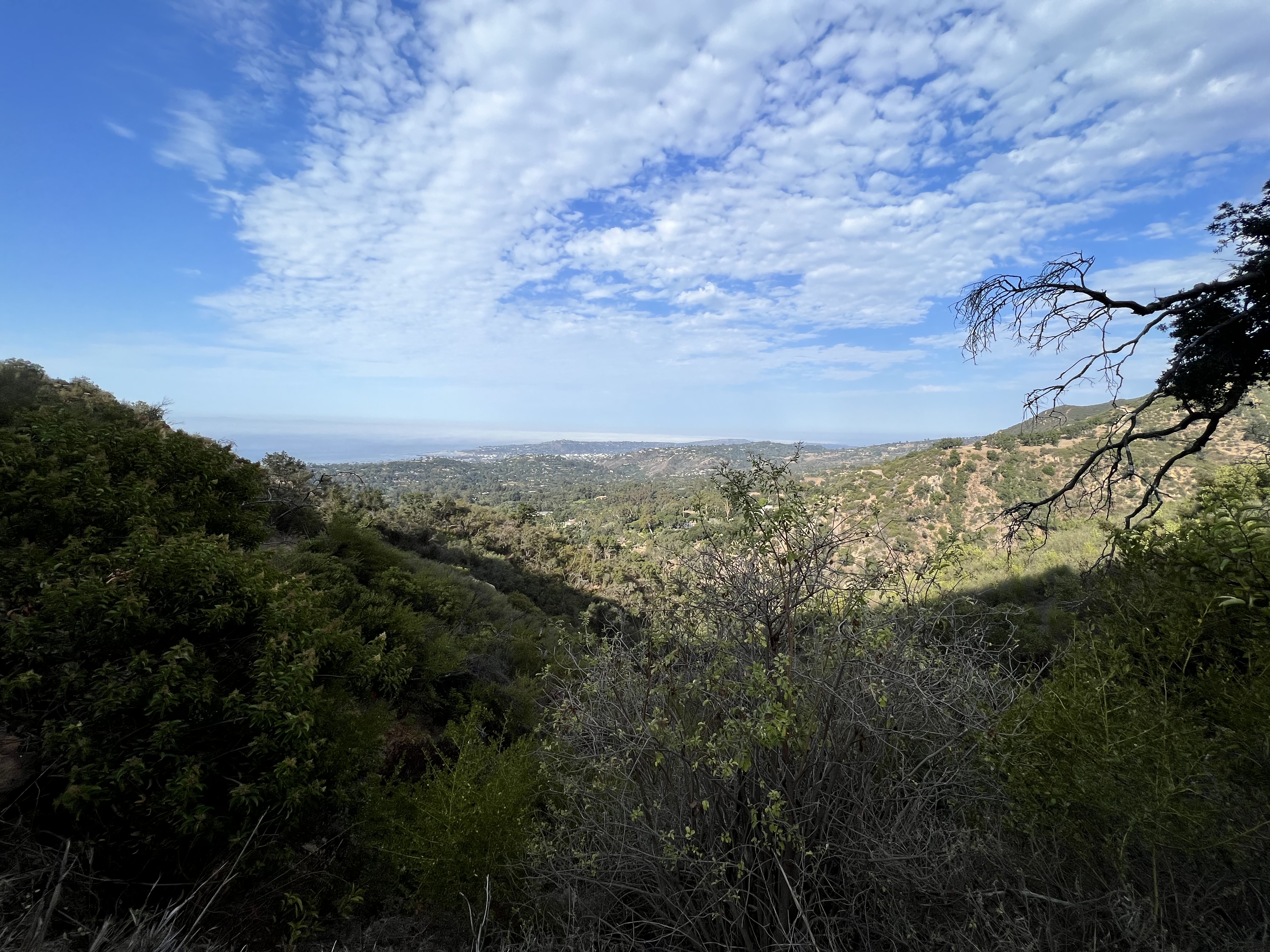 Cold Spring Trail Loop, Montecito, California