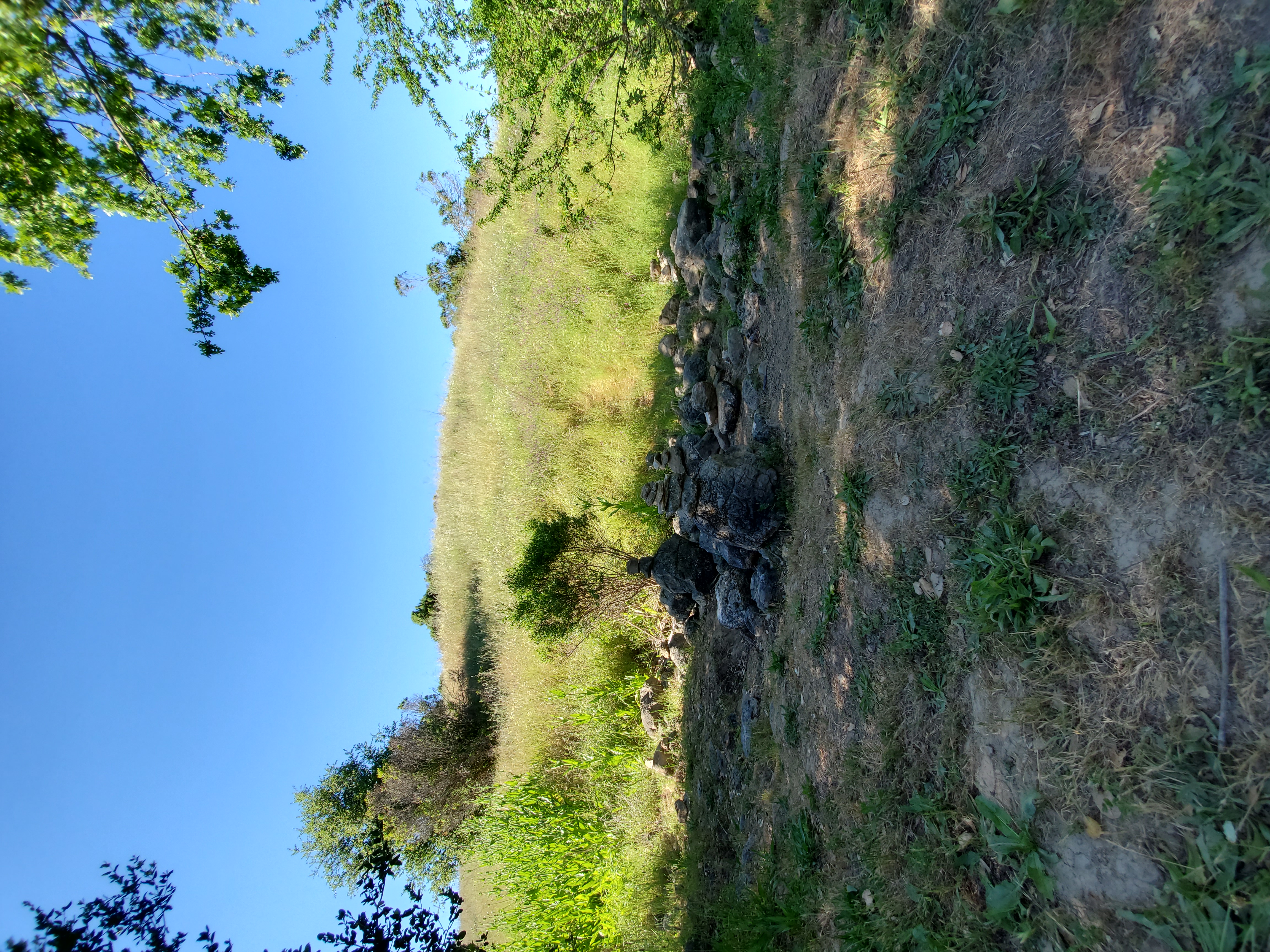 Explore Alston Park Loop Trail: Napa's Premier Hiking Spot