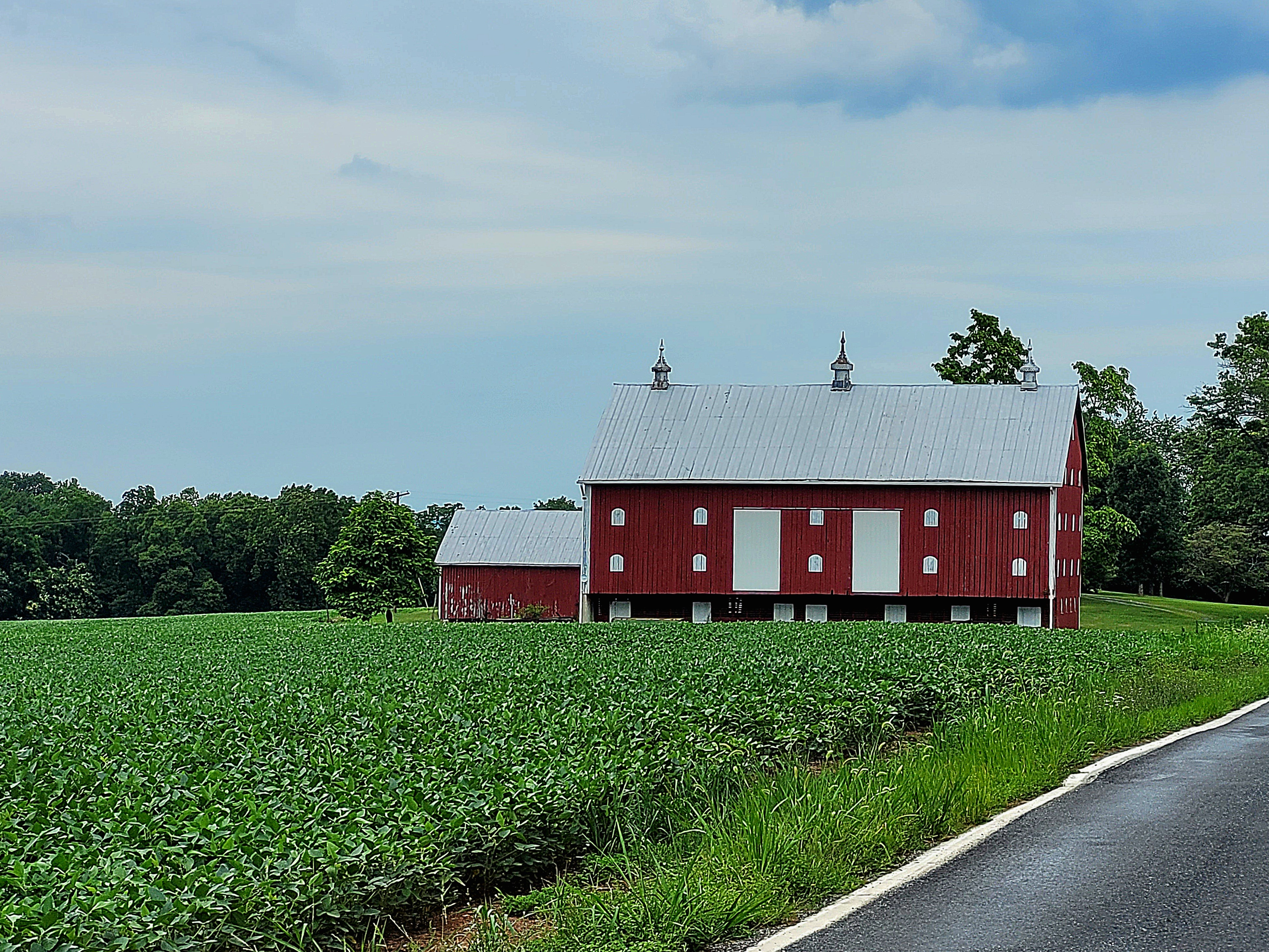C&O Canal: Whites Ferry to Edwards Ferry, Dickerson, Maryland