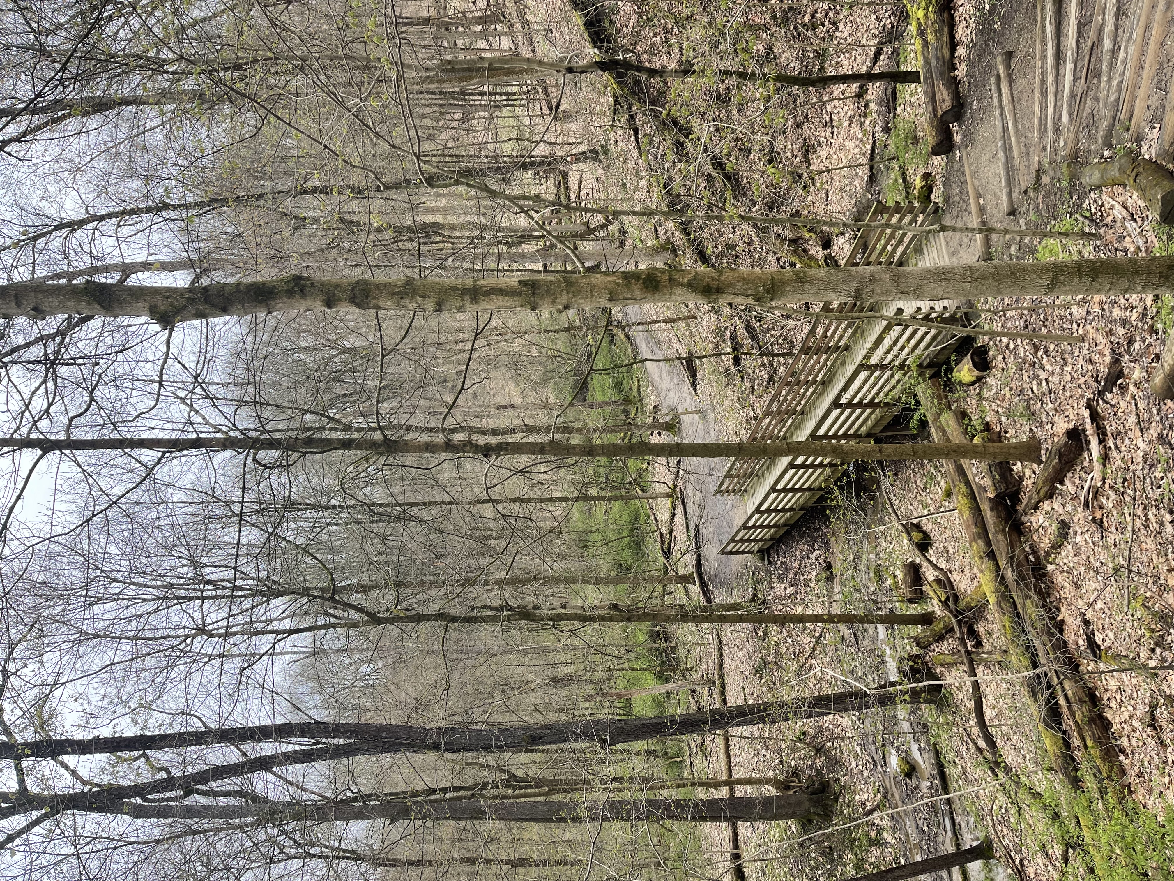 Kendall Lake Loop Trail and Salt Run Trail, Peninsula, Ohio