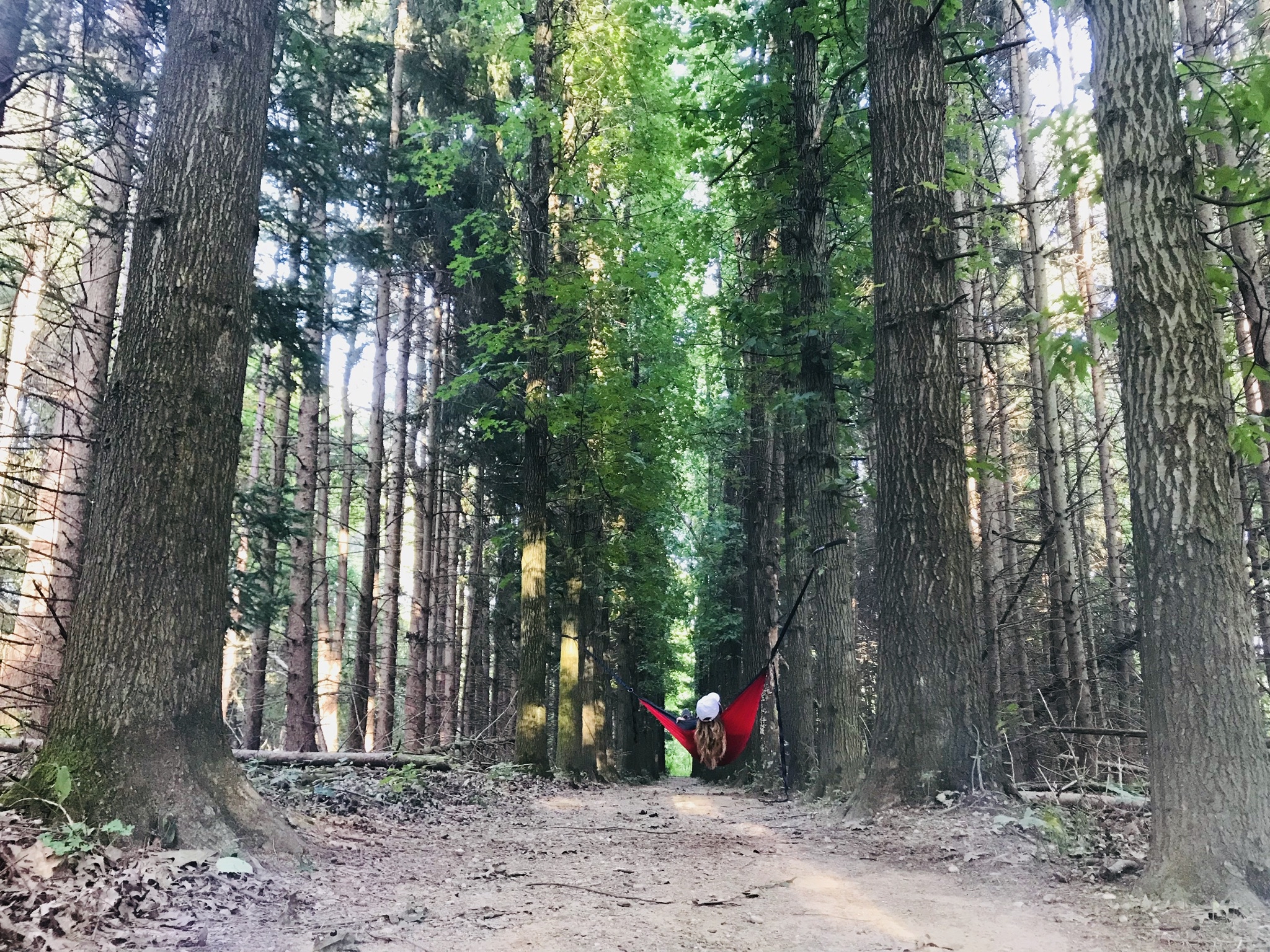 Plateau Trail, Peninsula, Ohio