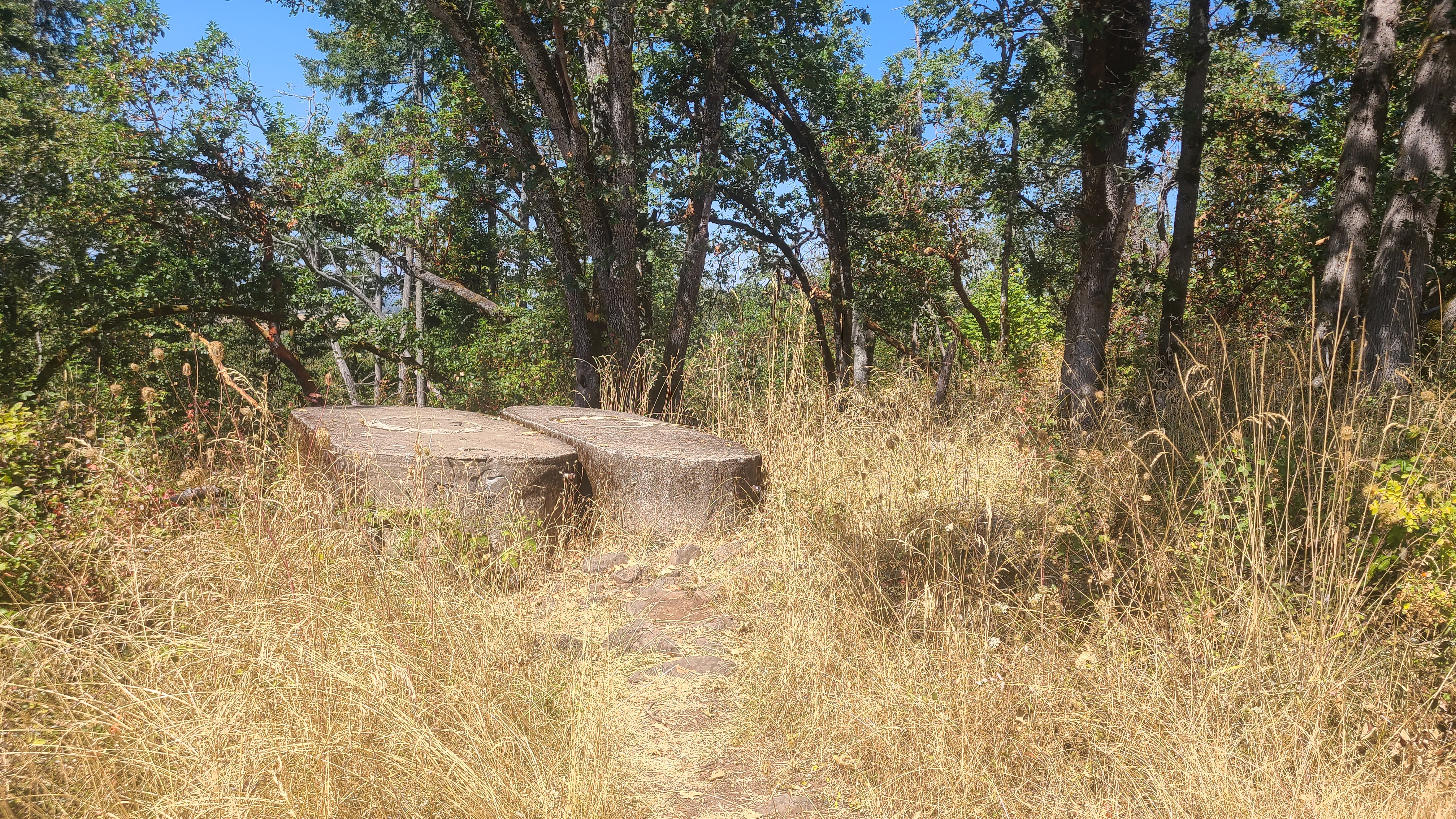 Wild Iris Ridge Loop from Summit Sky Boulevard, Eugene, Oregon