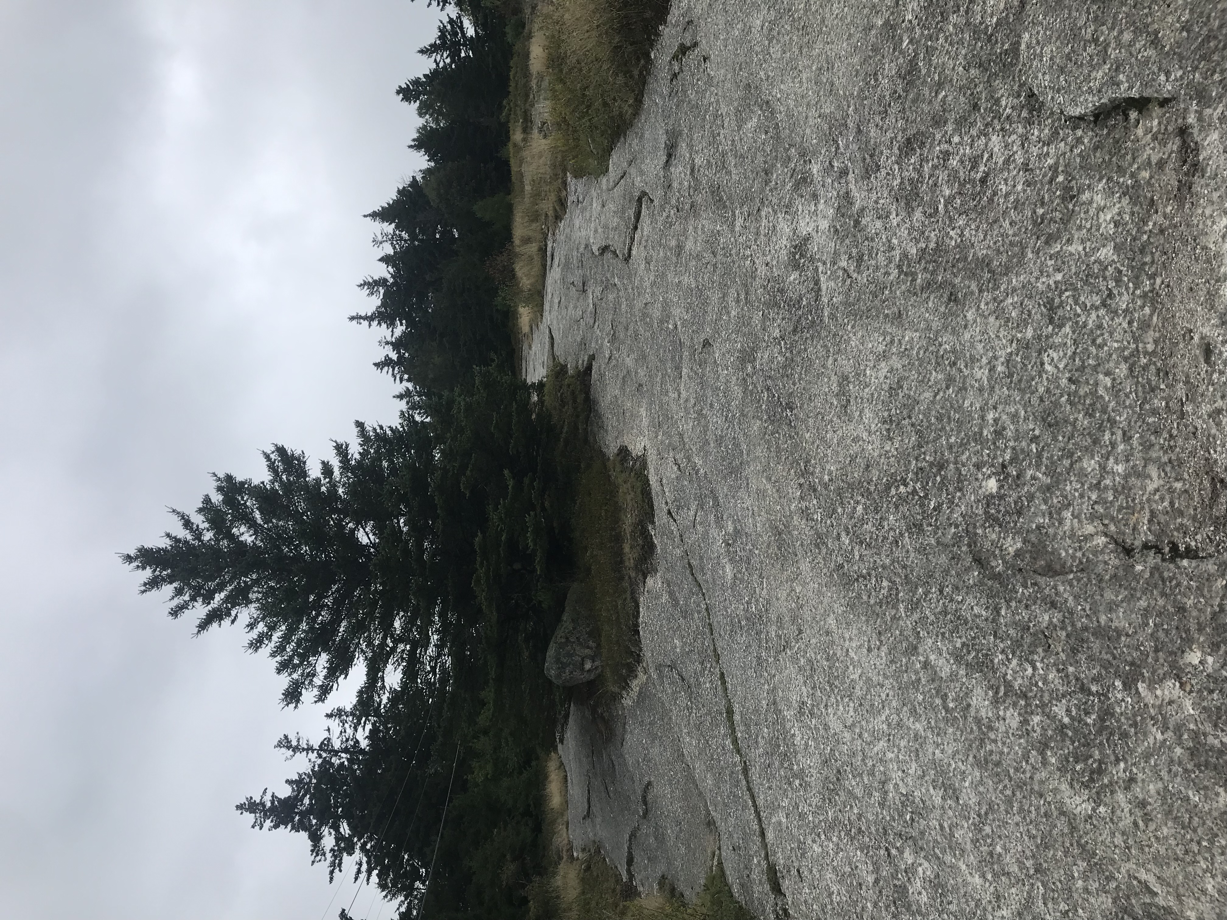 Bald Mountain Loop, Dedham, Maine