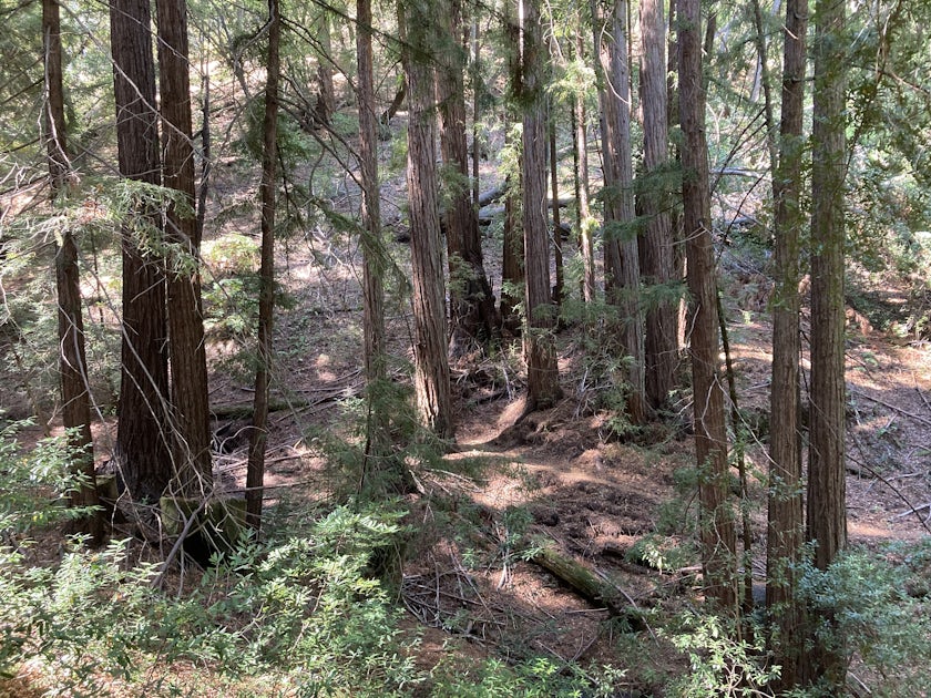 Sonoma Ridge Trail, Glen Ellen, California