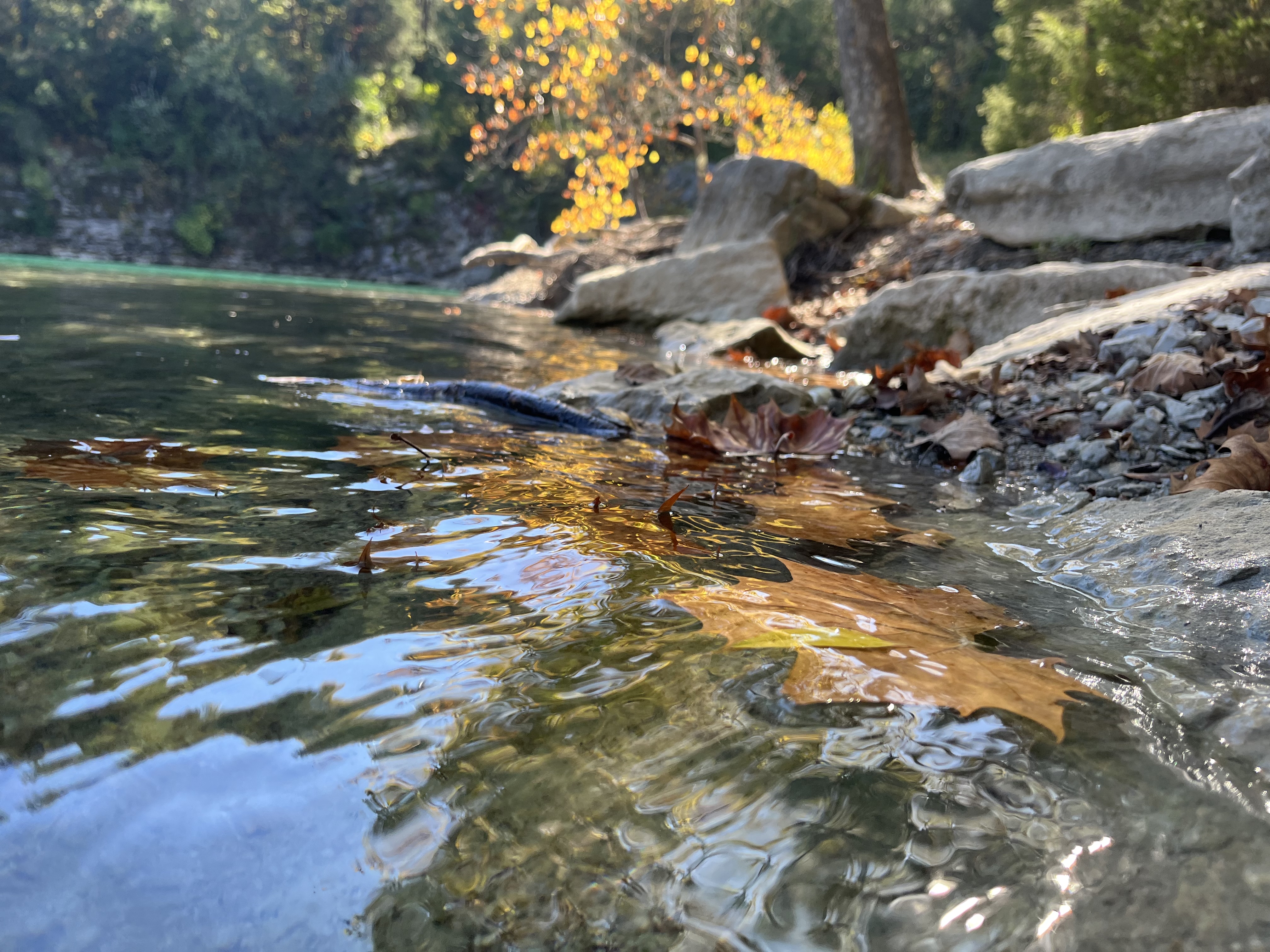 Photos: Hike to North Boundary Quarry , Oak Ridge, Tennessee