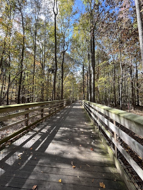 Hatcher Creek Greenway, Morrisville, North Carolina