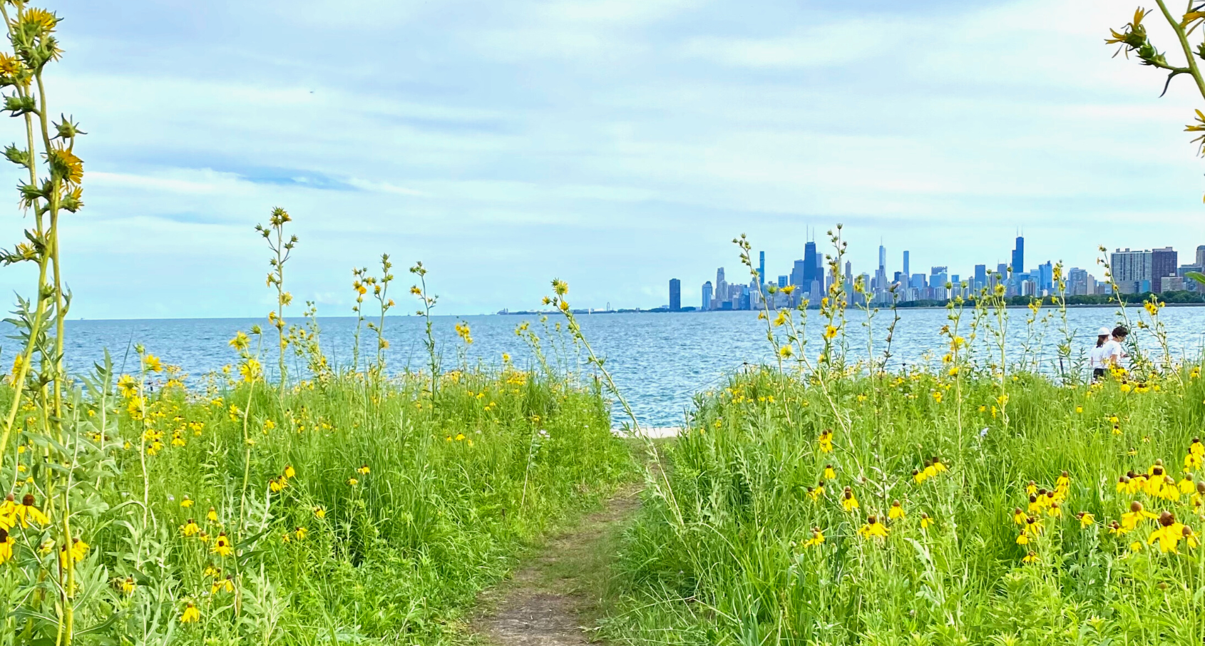 Chicago: Where urban nature runs wild