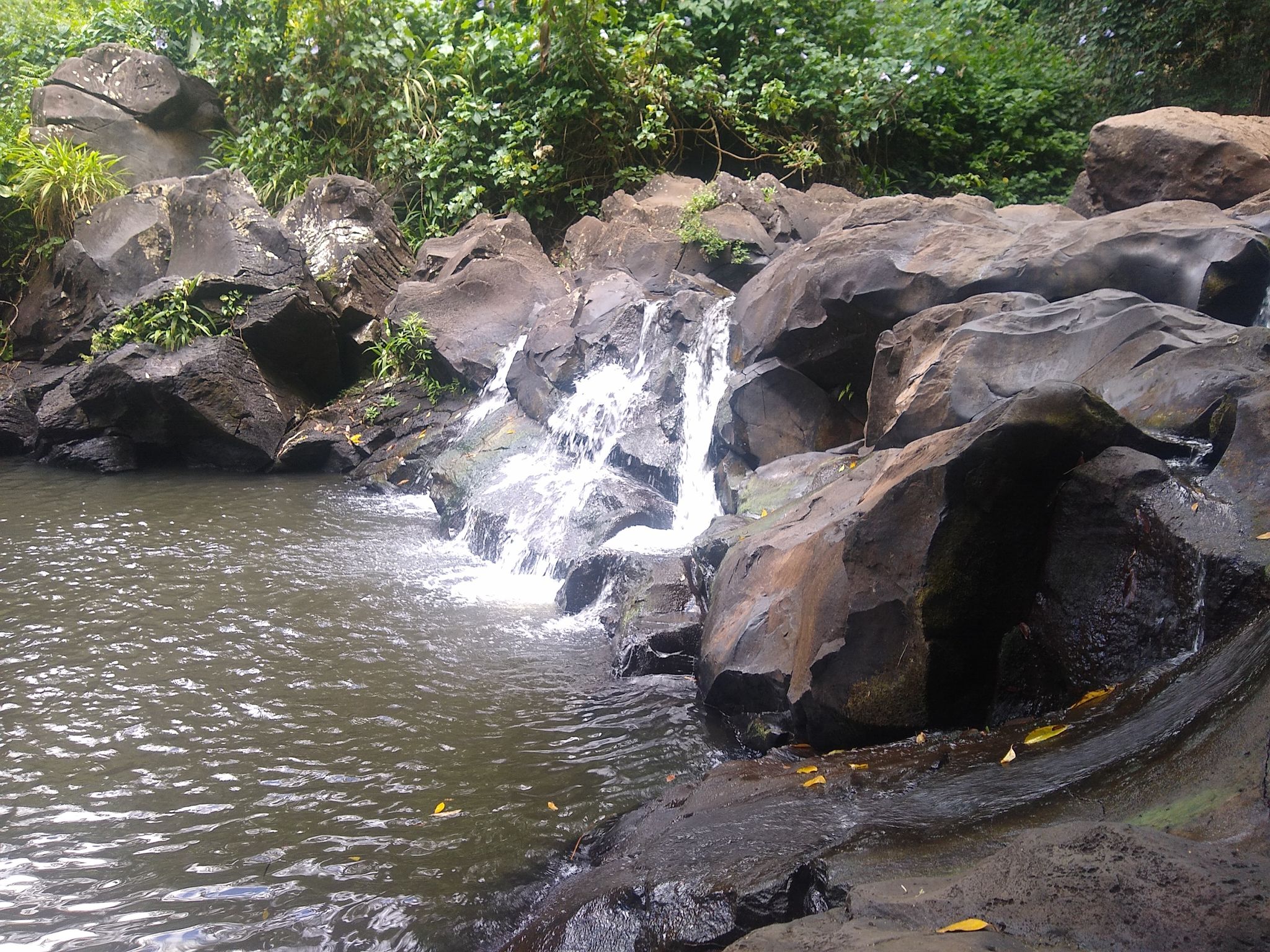 Judd Trail, Honolulu, Hawaii