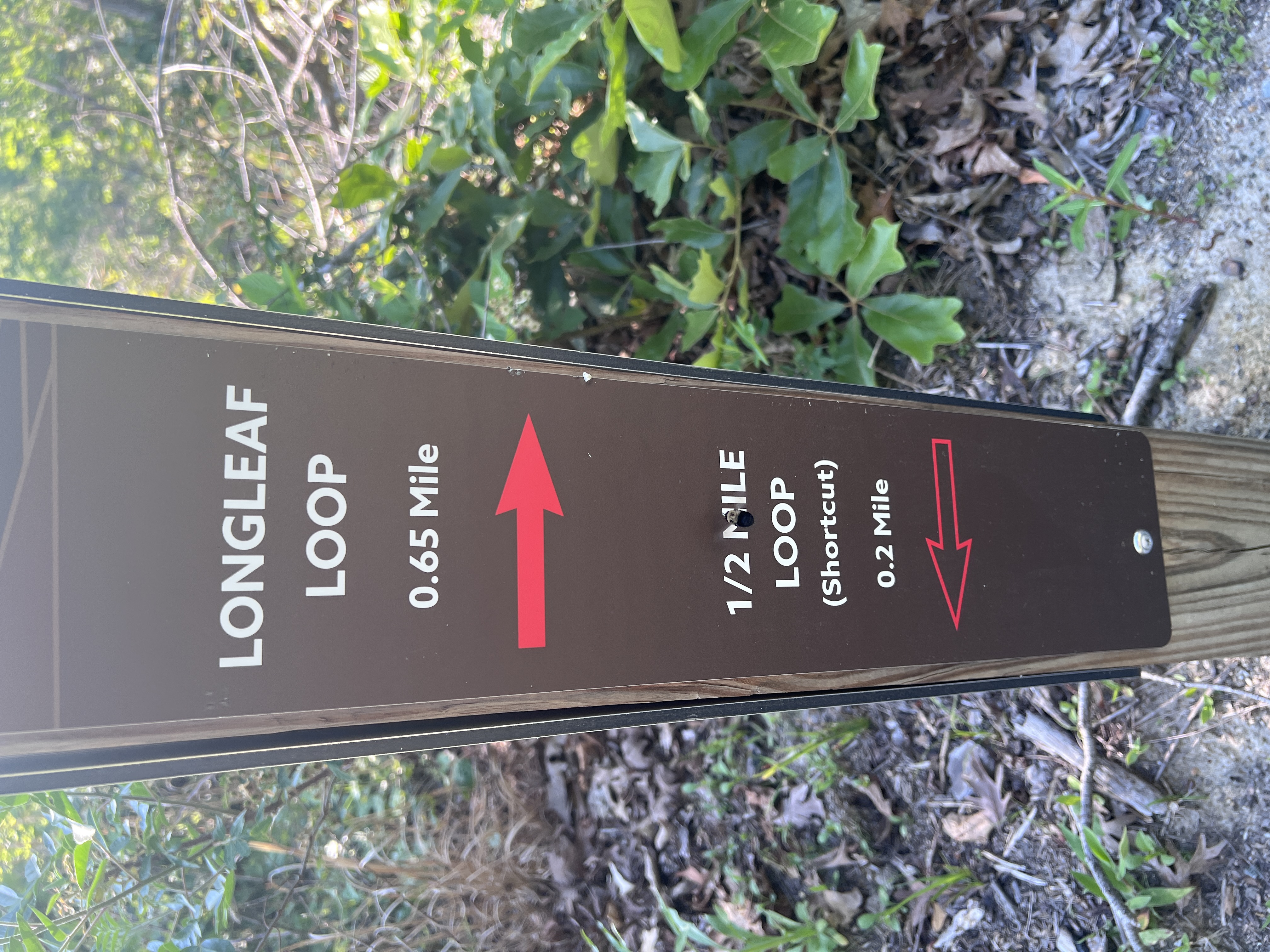 Photo of Cane Creek Mountains Northern Approach Loop