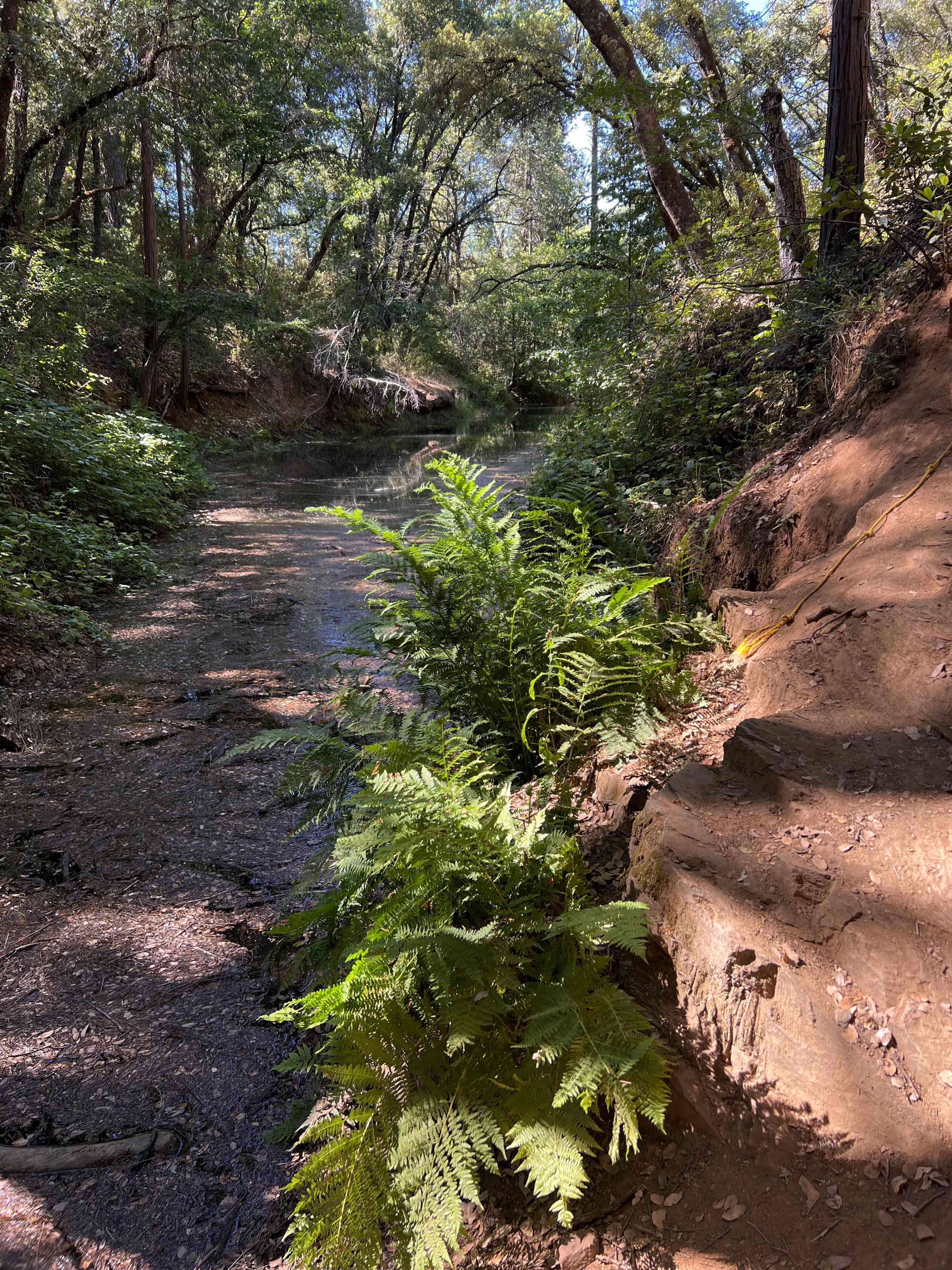 Lake Tabeaud Loop, Jackson, California