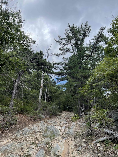 Photo of Orkney Springs Trail