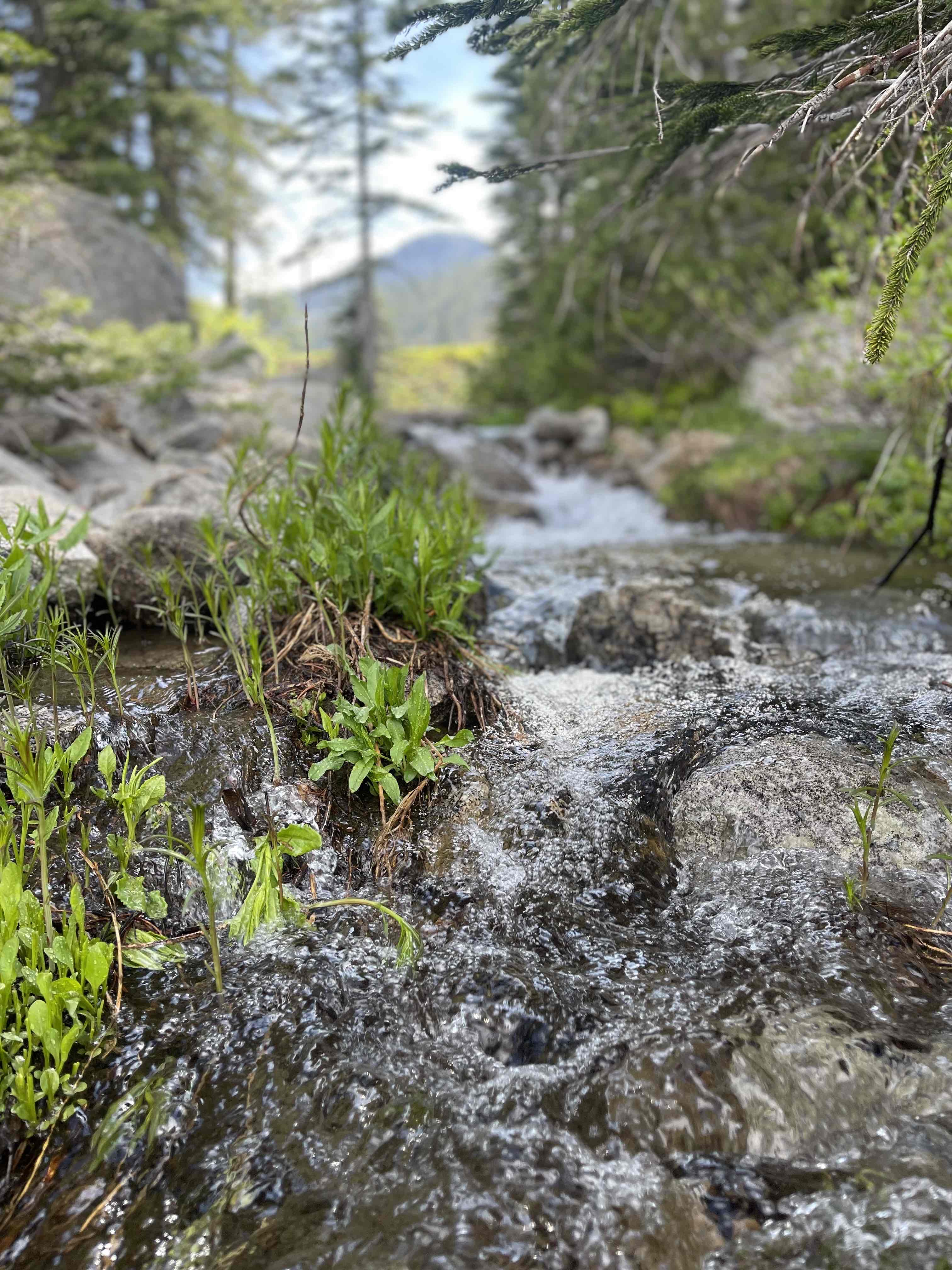 Photos: Van Patten Lake, Baker City, Oregon