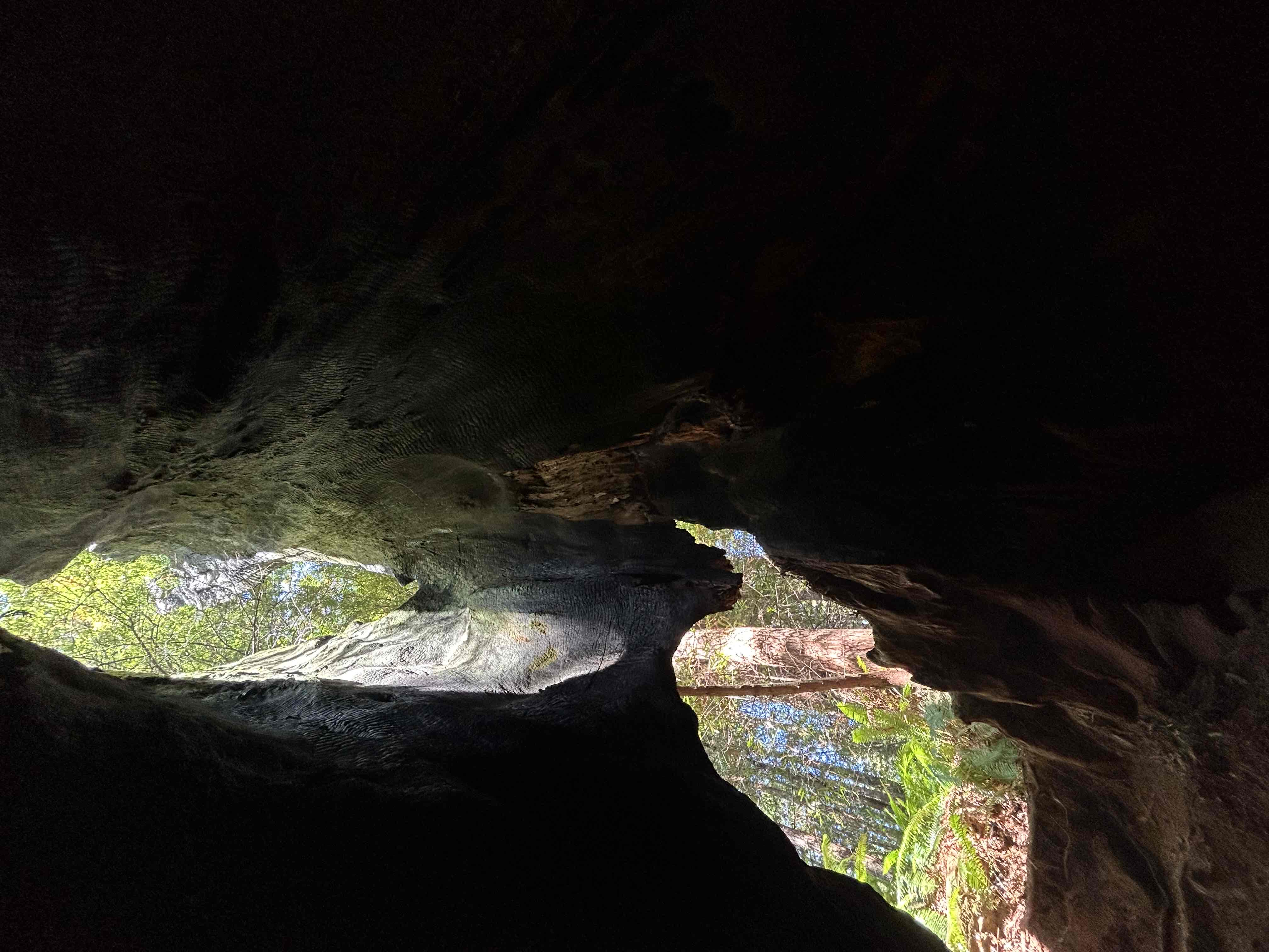 Photos: Strawberry Rock Trail, Trinidad, California