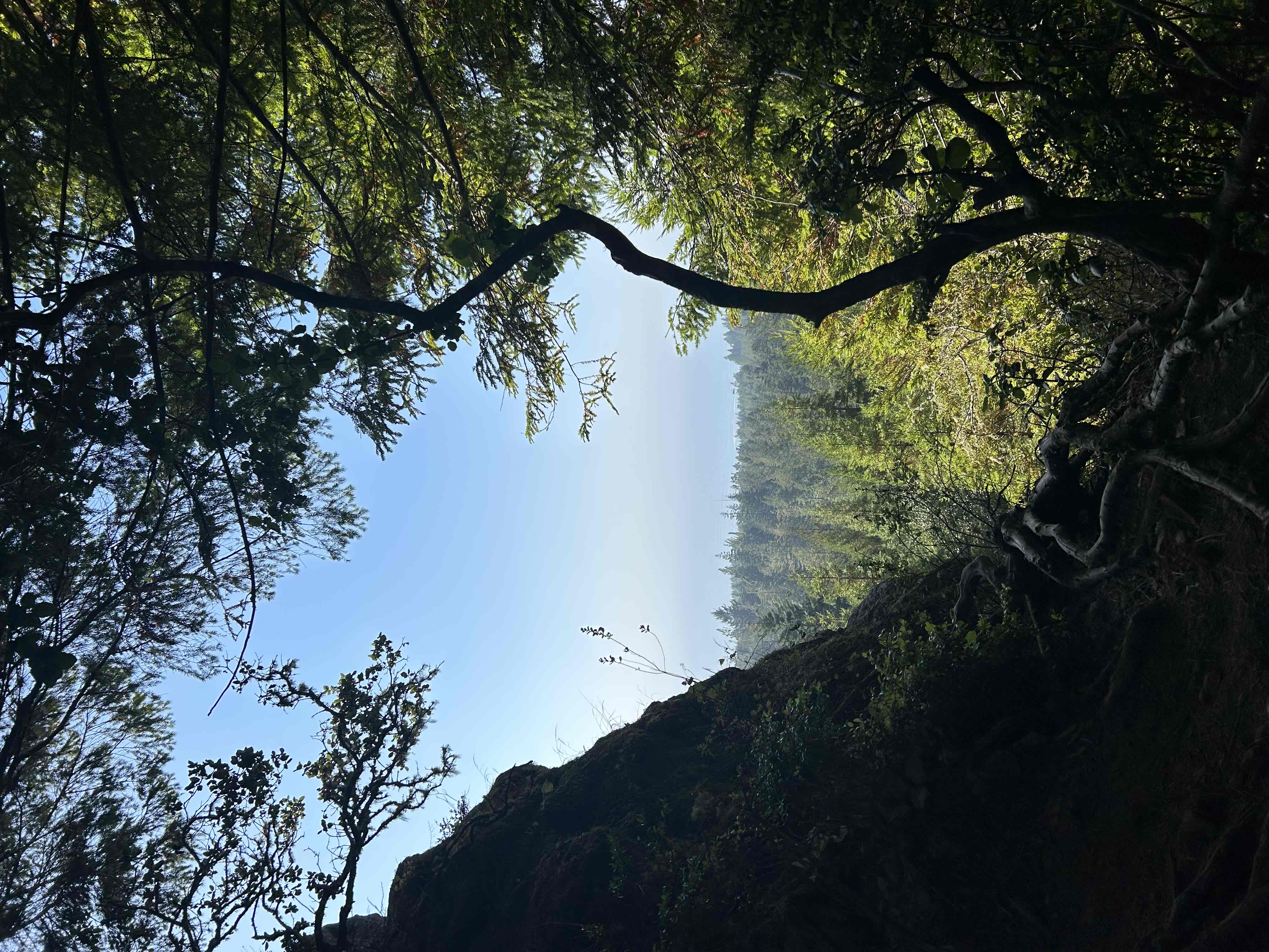 Photos: Strawberry Rock Trail, Trinidad, California