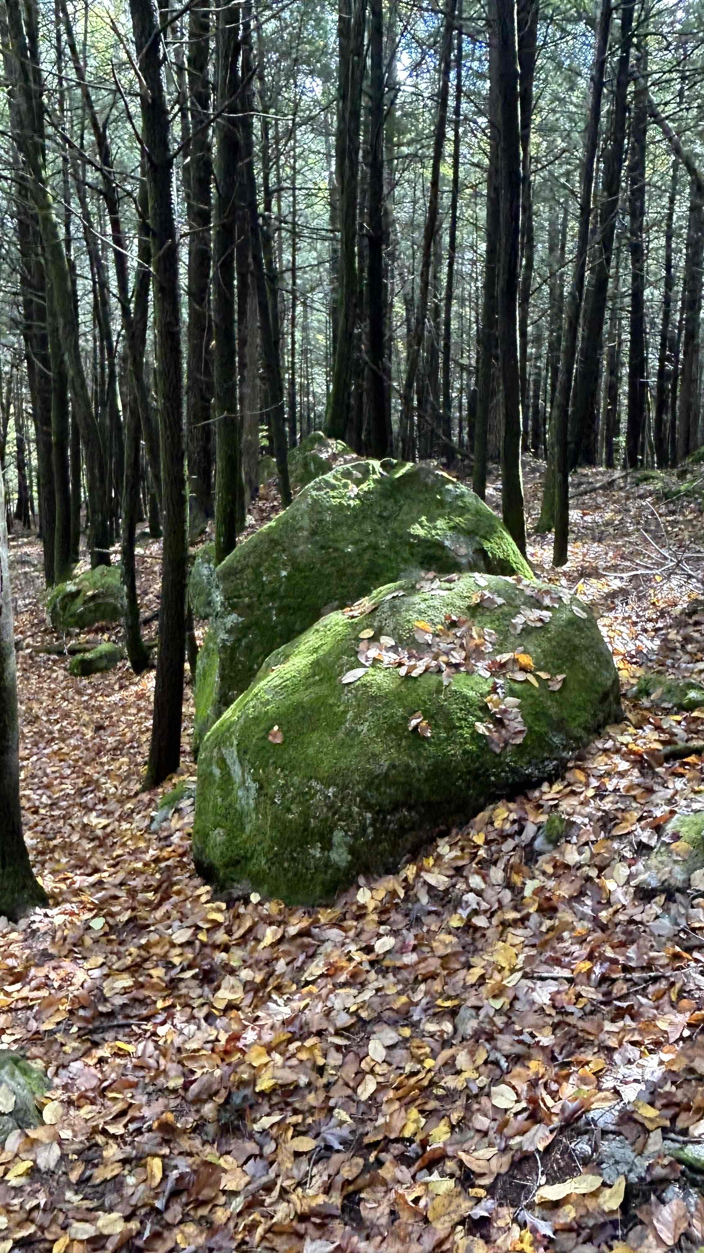 Photos: Pulpit Rock Conservation Area Loop, Bedford, New Hampshire