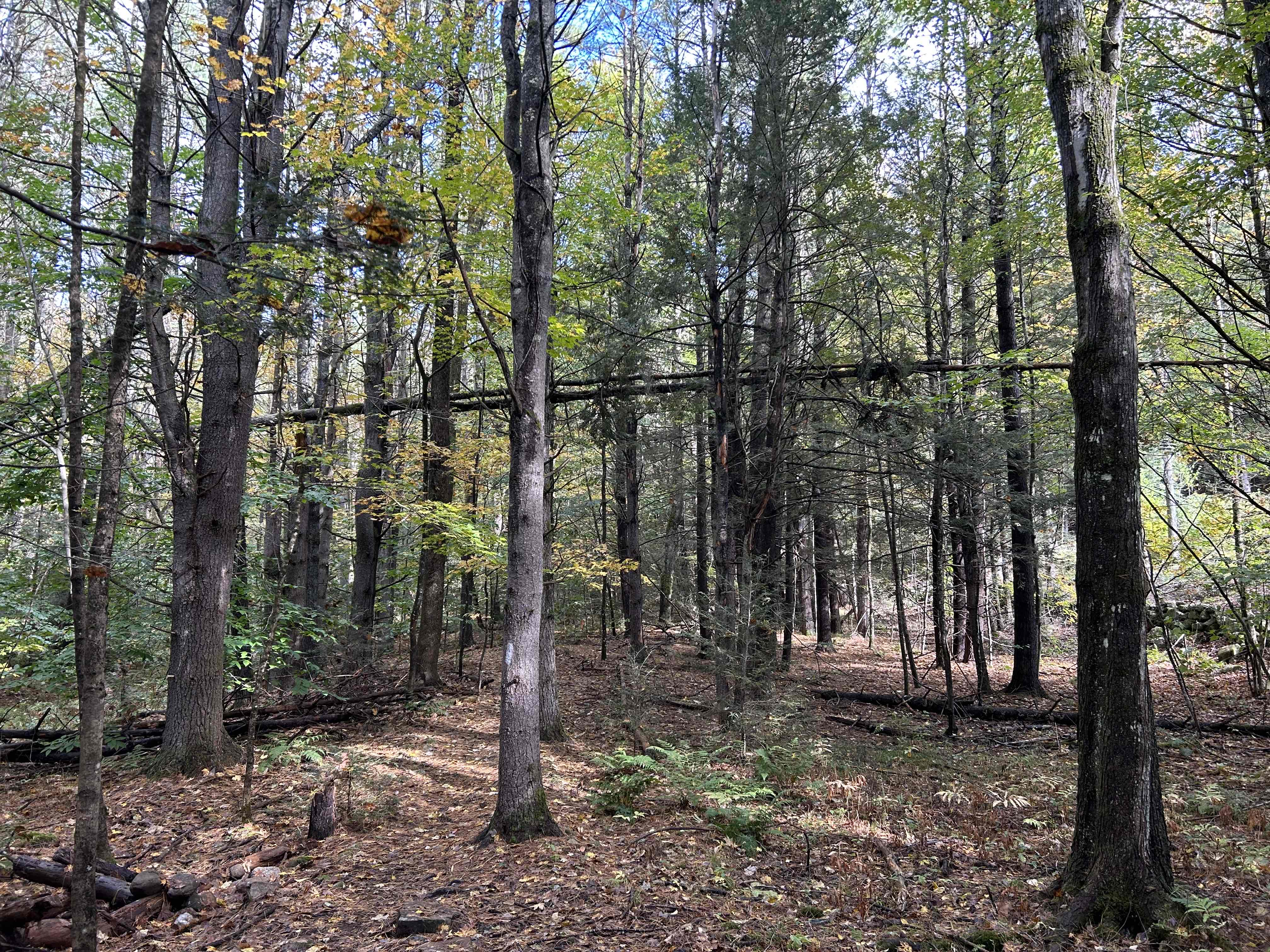 Photos: Pulpit Rock Conservation Area Loop, Bedford, New Hampshire