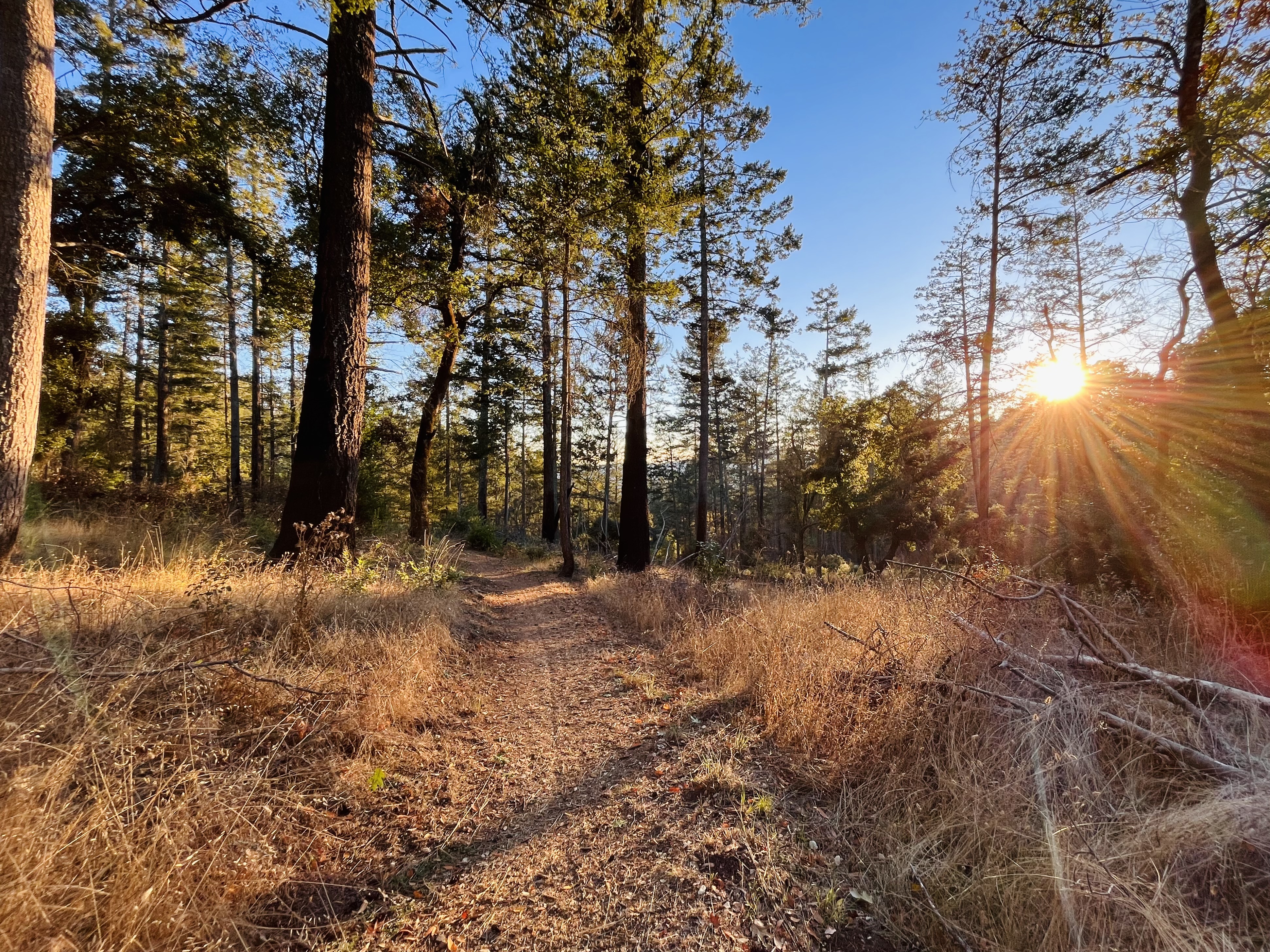 Hood Mountain Summit Via Lower and Upper Johnson Ridge Trails , Santa ...